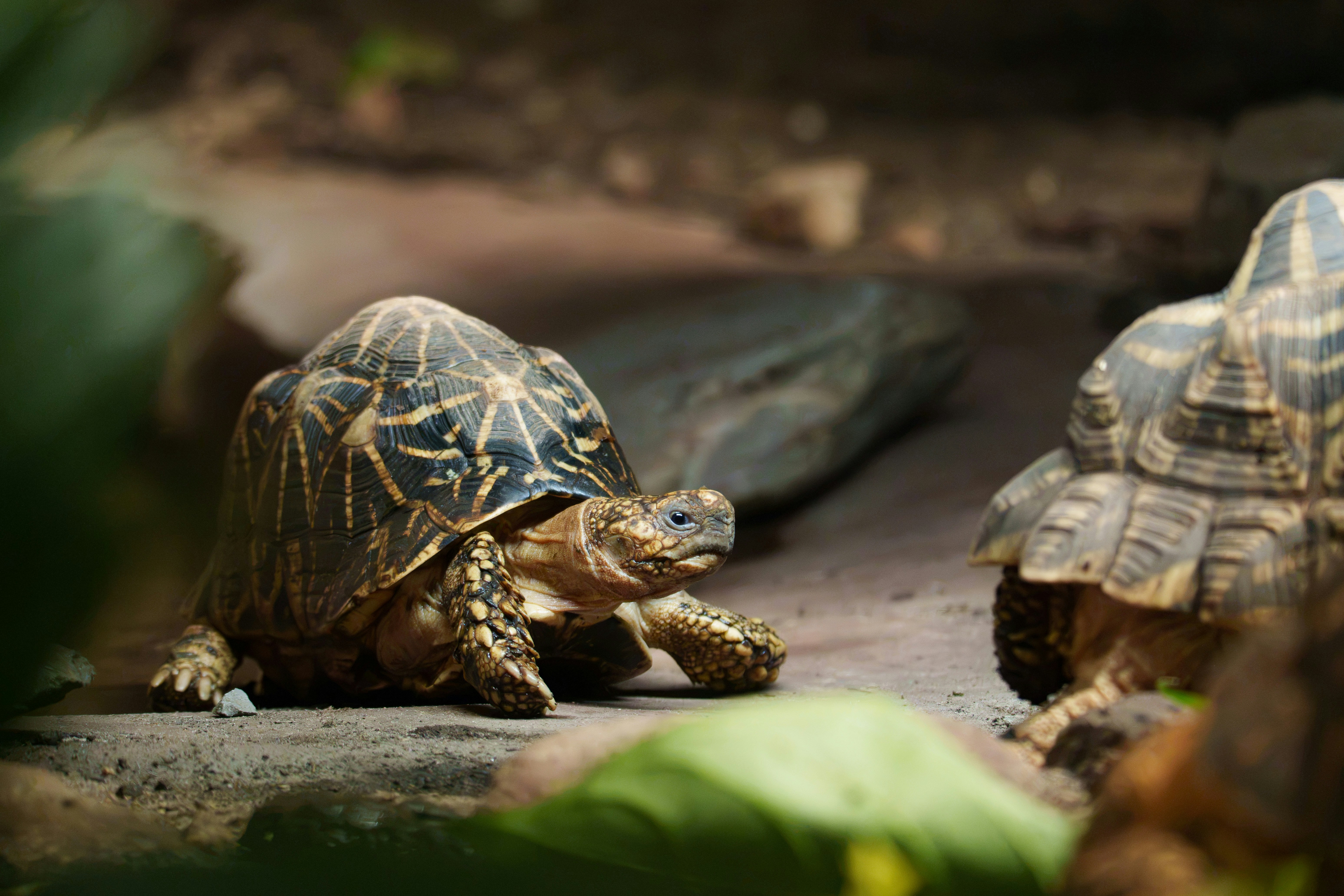 Photo by Tim Offermans with Sony Alpha 6700