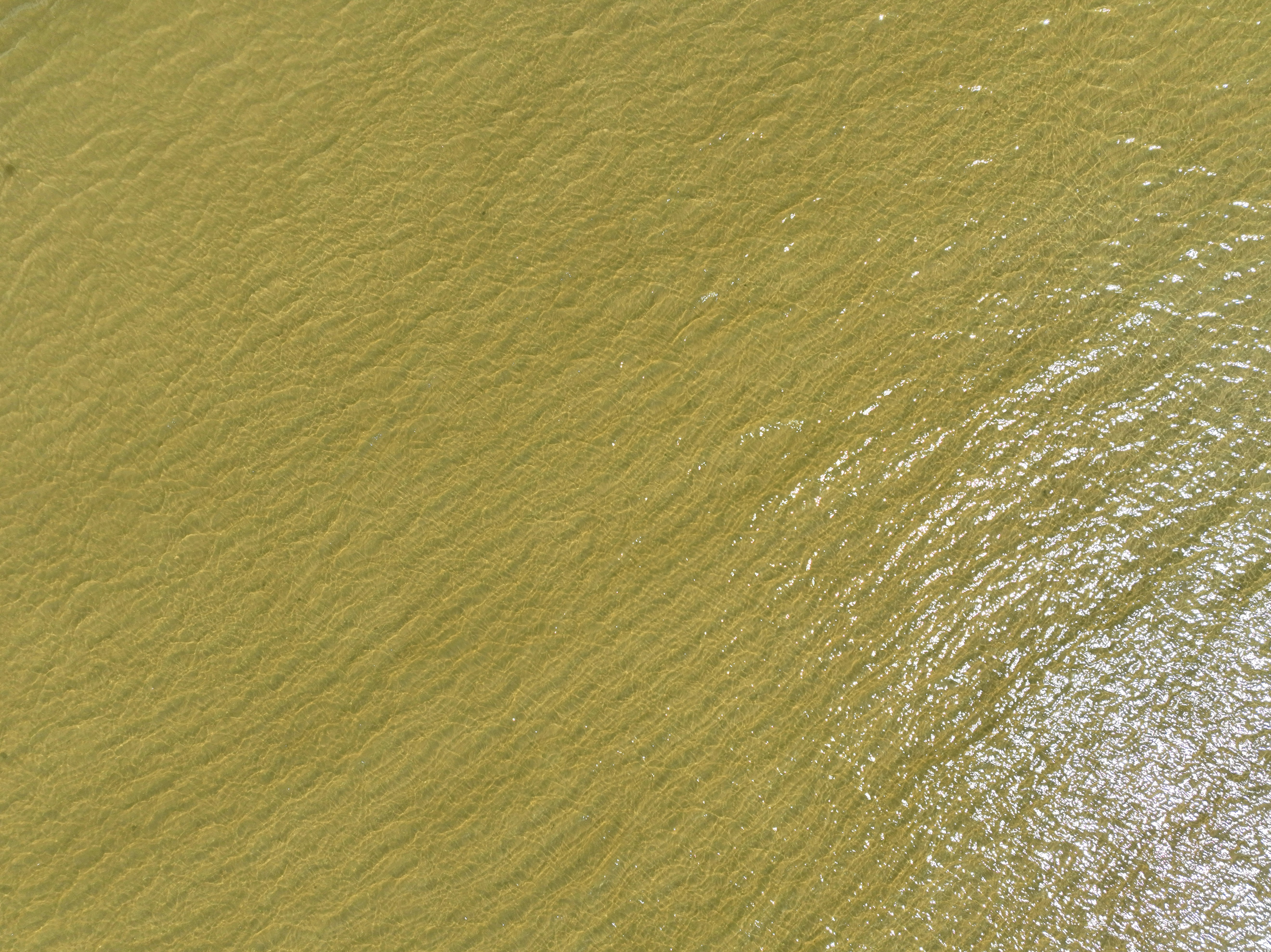 Ocean