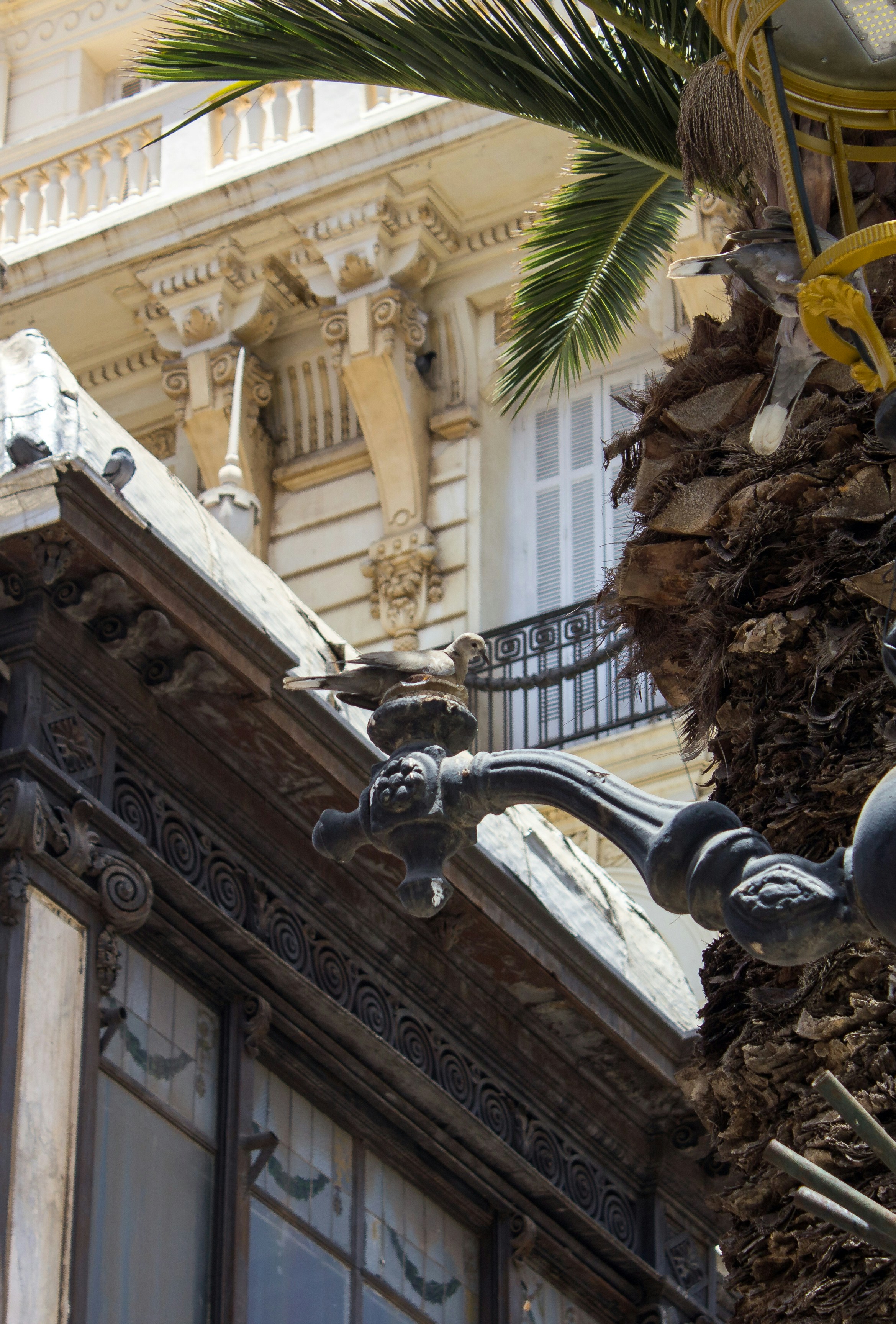 Ornate Balcony Overlook Above a Curved Street Lamp