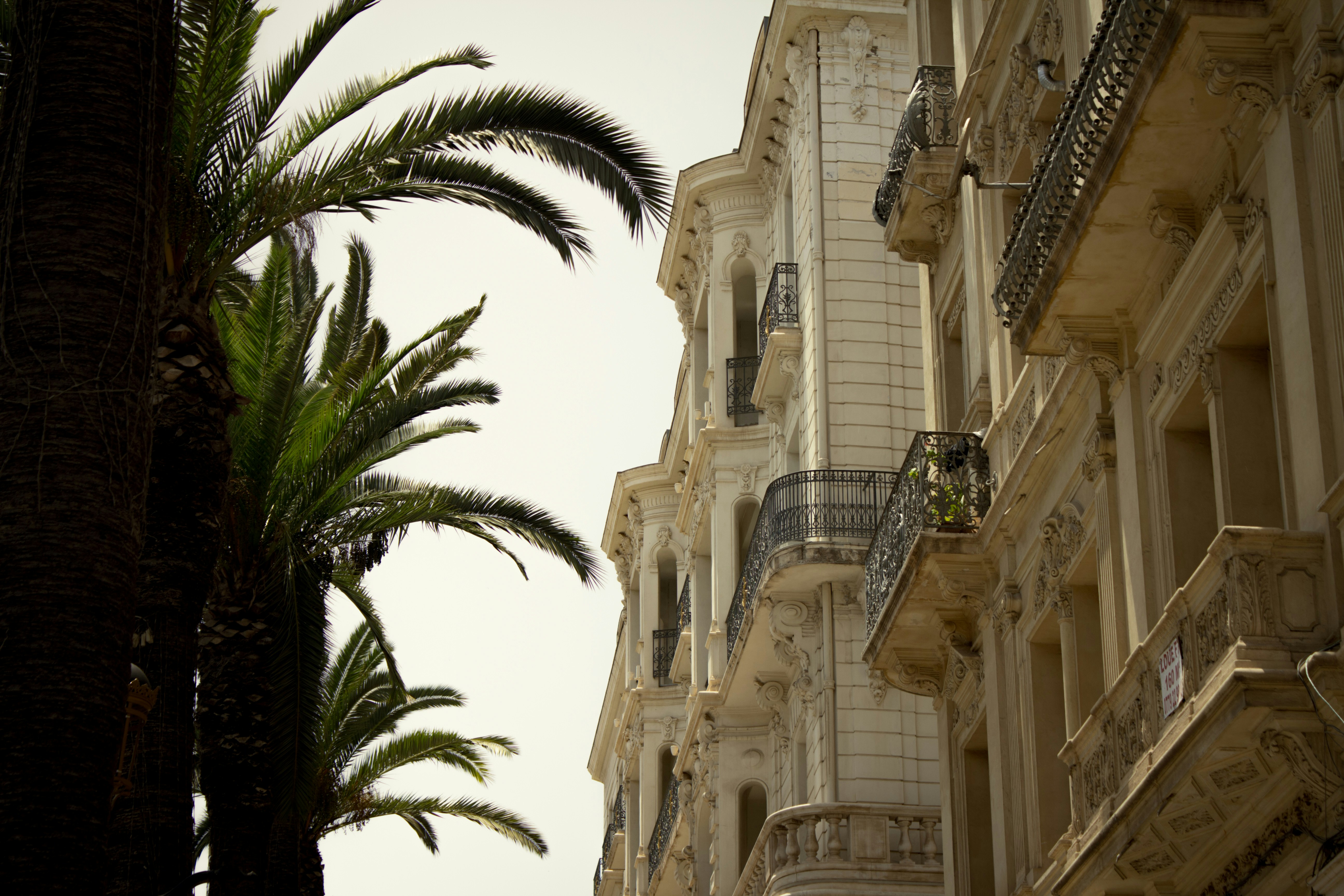Photo by Zineddine Dinar with Canon EOS 600D