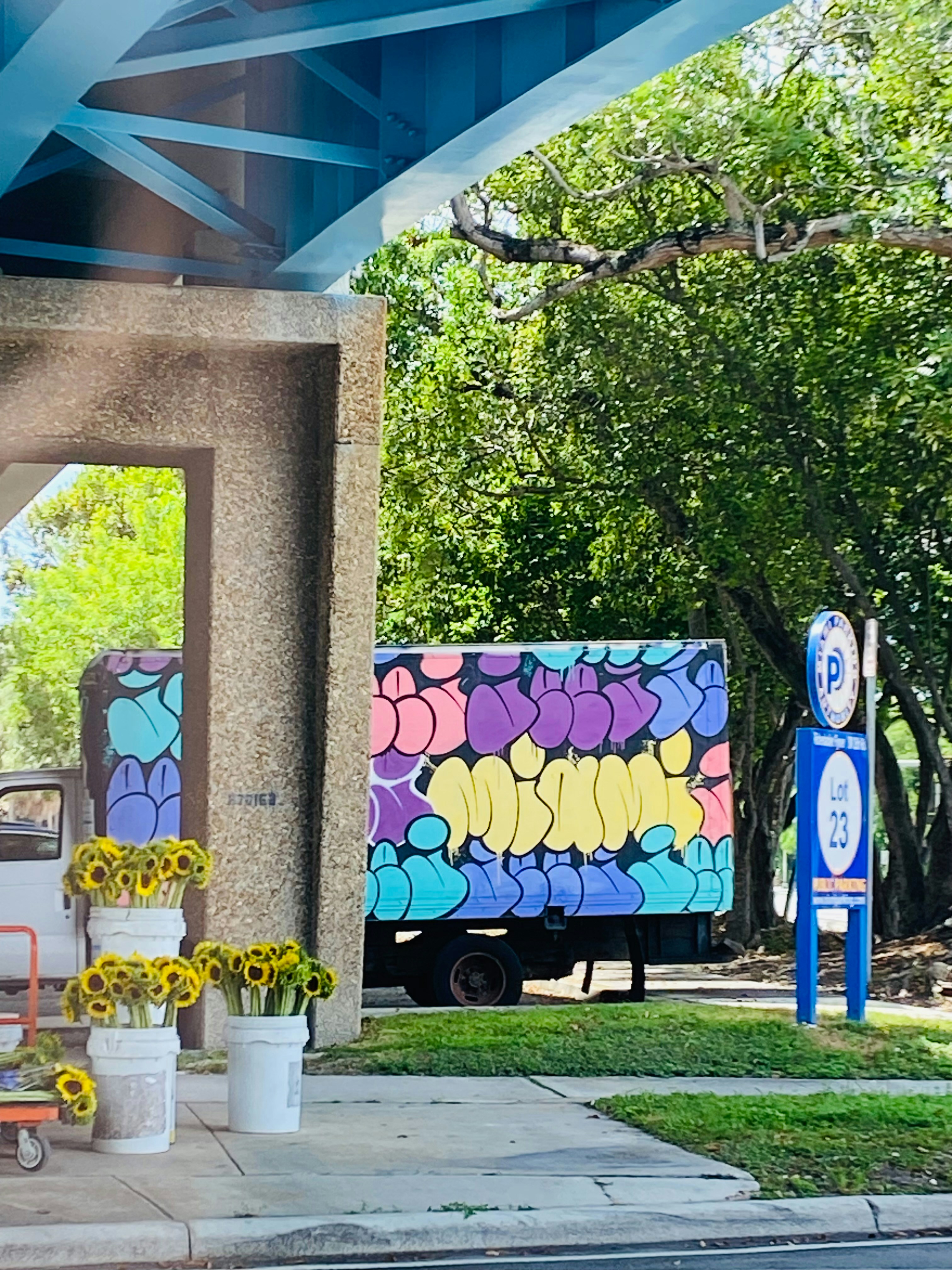 Sunflowers in white buckets line a sidewalk beside a graffiti-covered truck under a blue overpass, with a sunlit green backdrop and a blue parking sign in view.