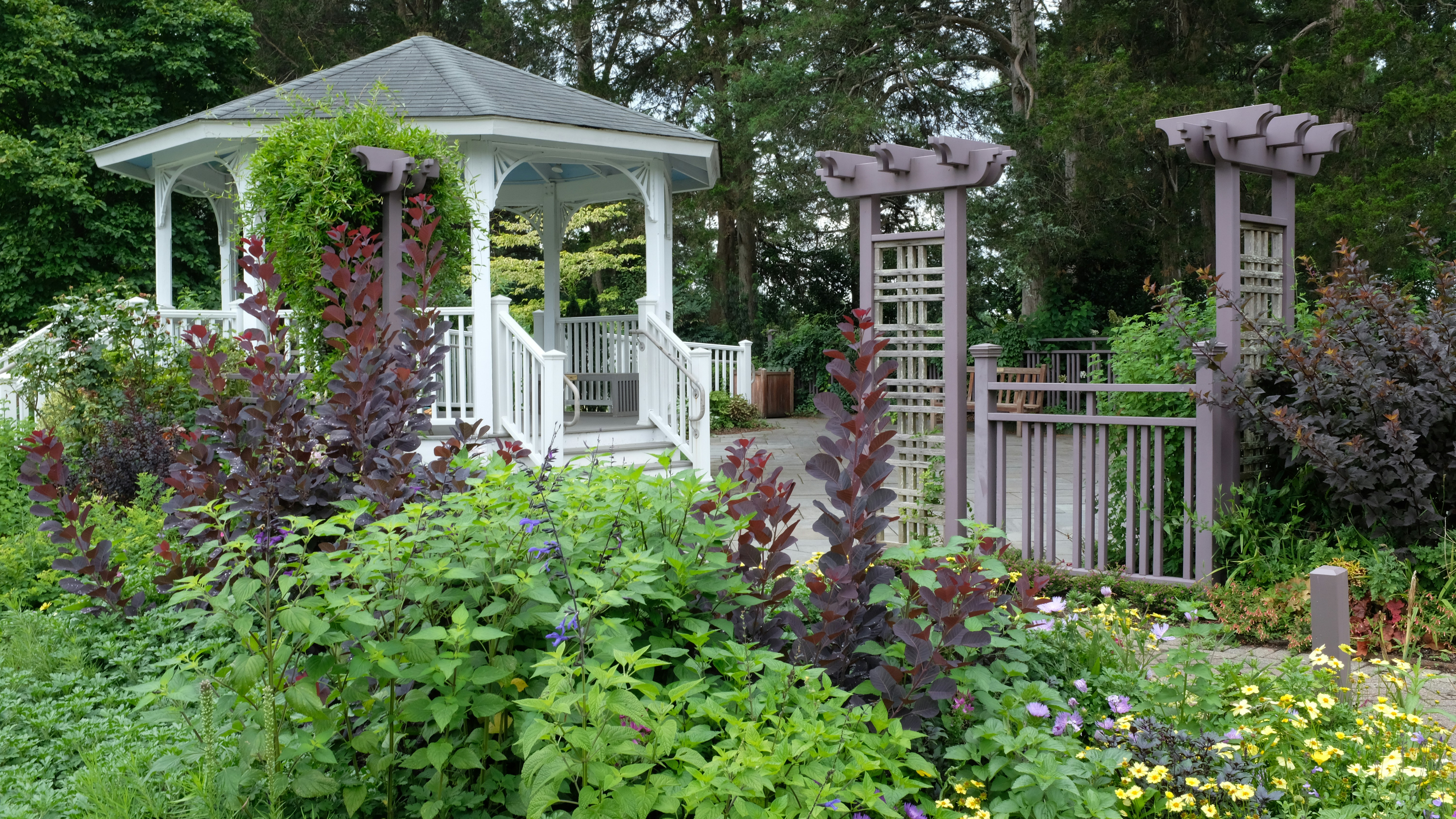 Whispering Arbor: A Serene Garden Retreat Framed by a White Gazebo