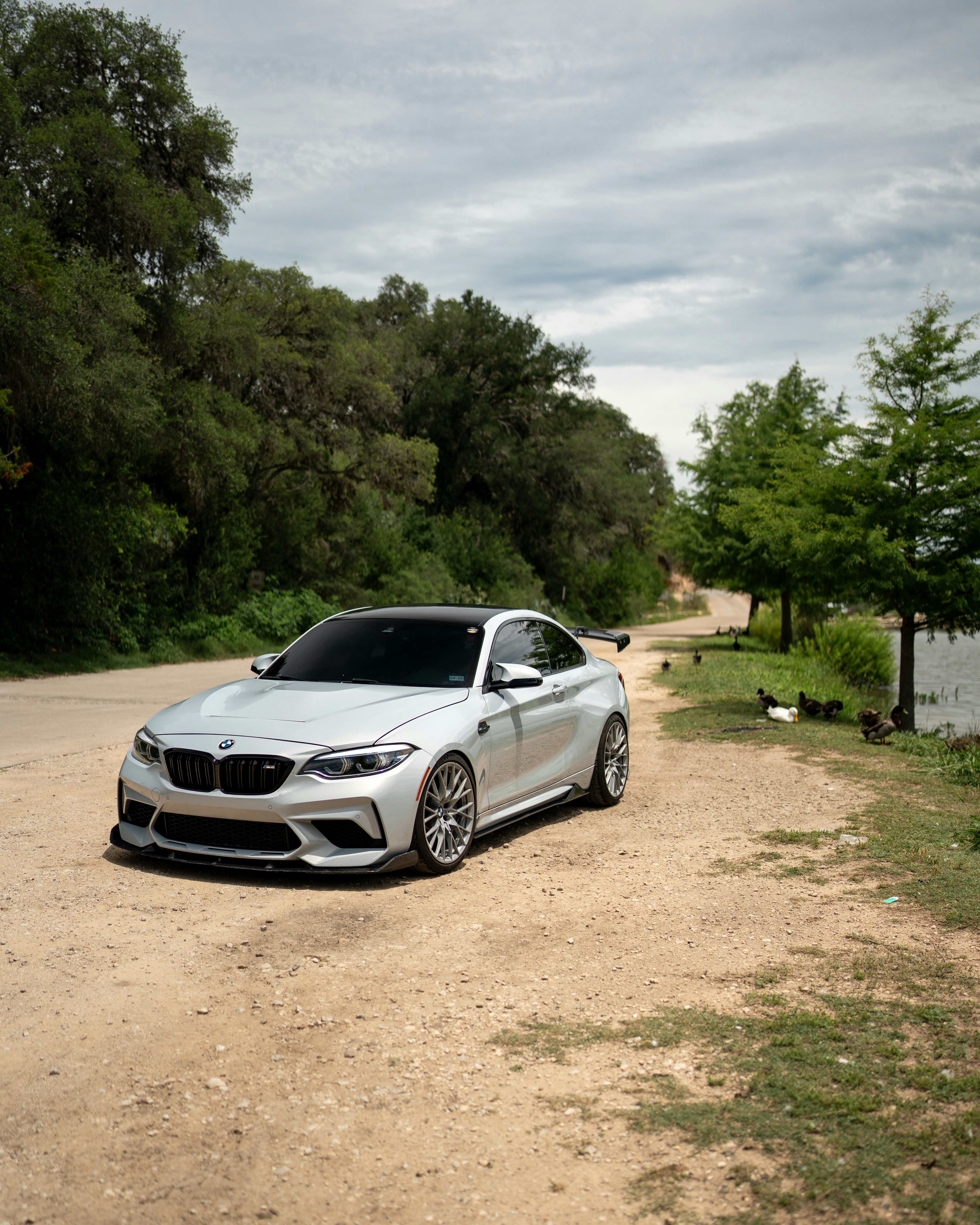 Silver GT on a Sunlit Gravel Path