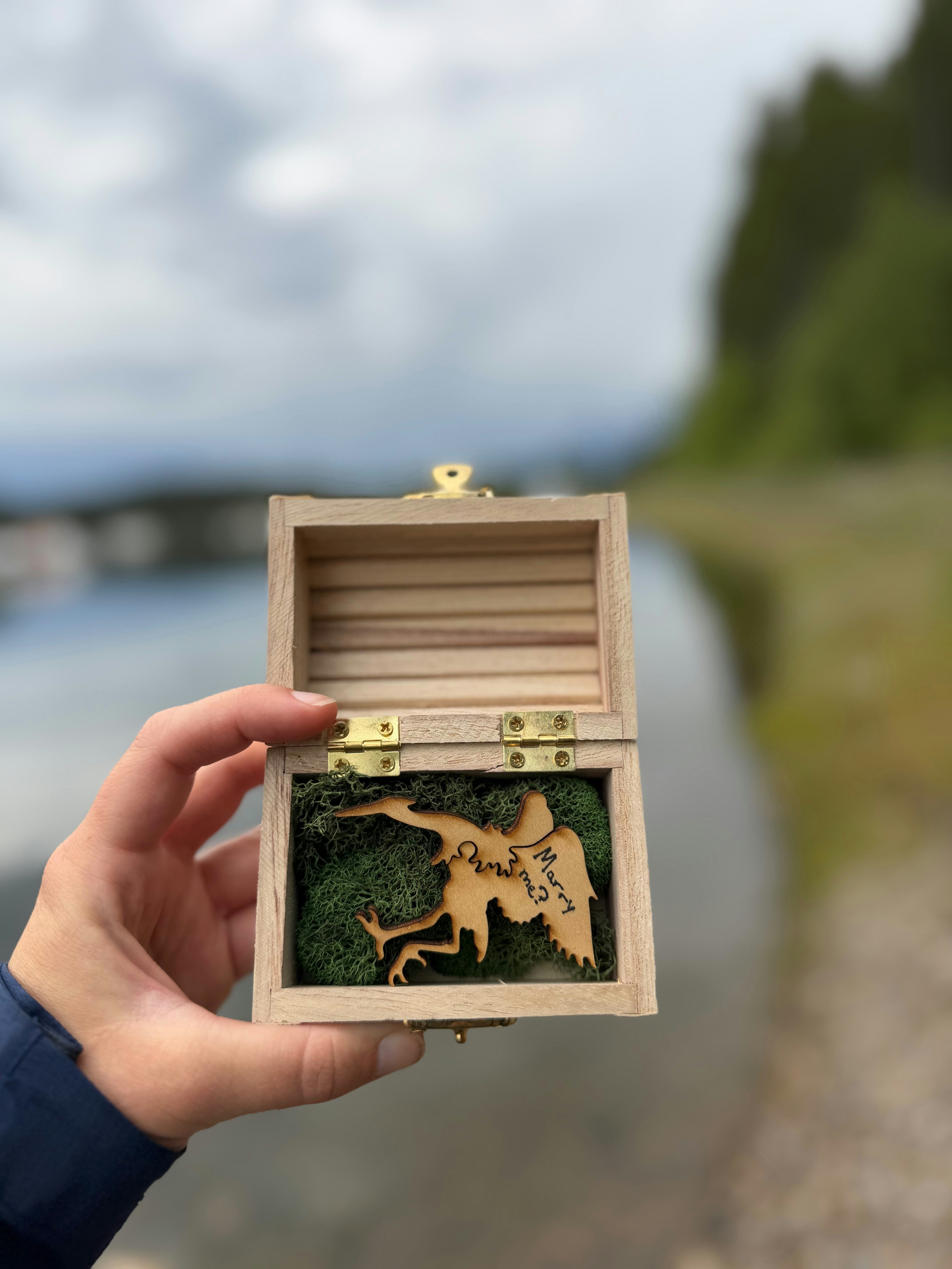 Tiny Keepsake, Big Moment: A Wooden Dinosaur Holds Court in a Handheld Box