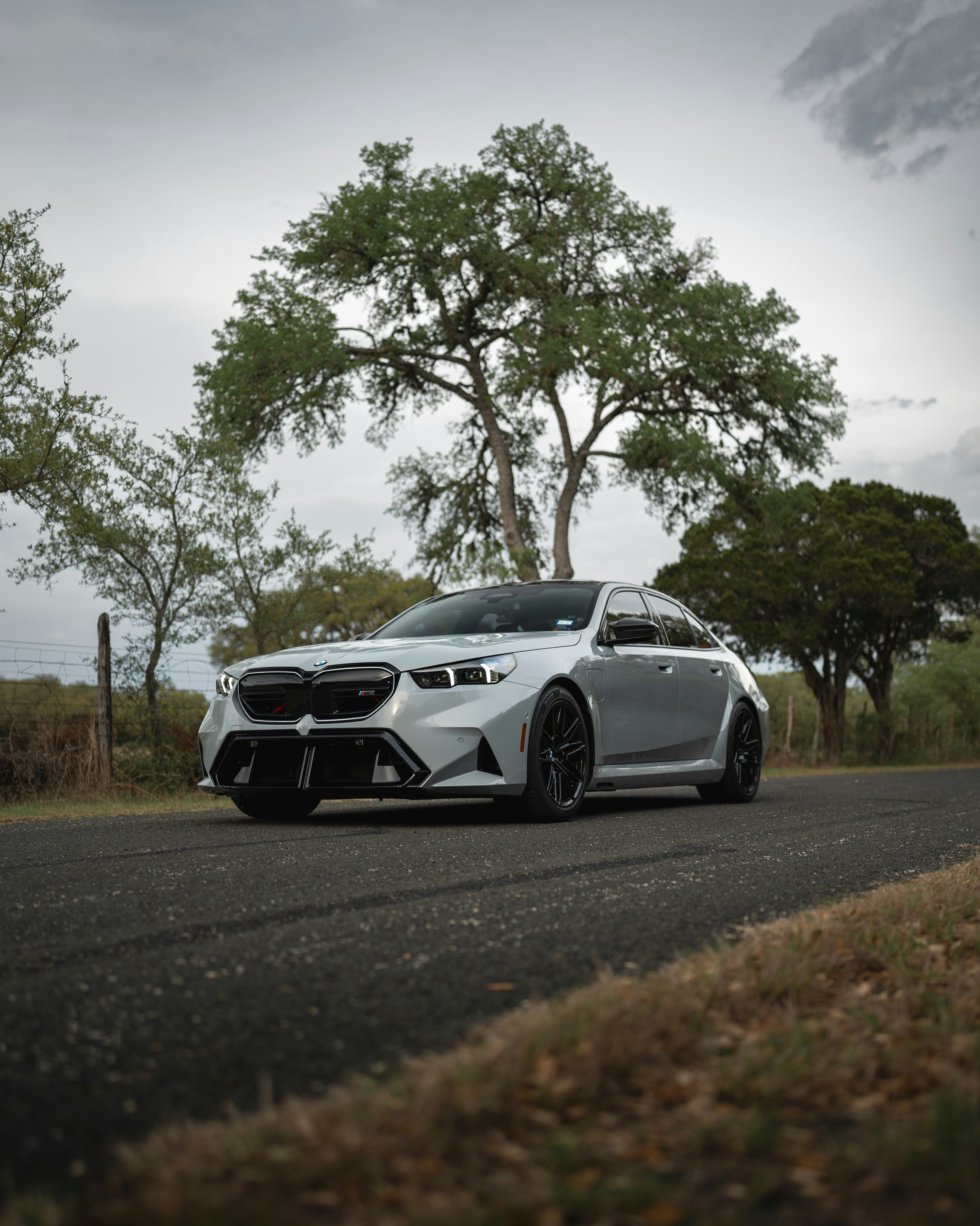 Silver Velocity: A Low-Rlung Car Under Wide Tree Canopy