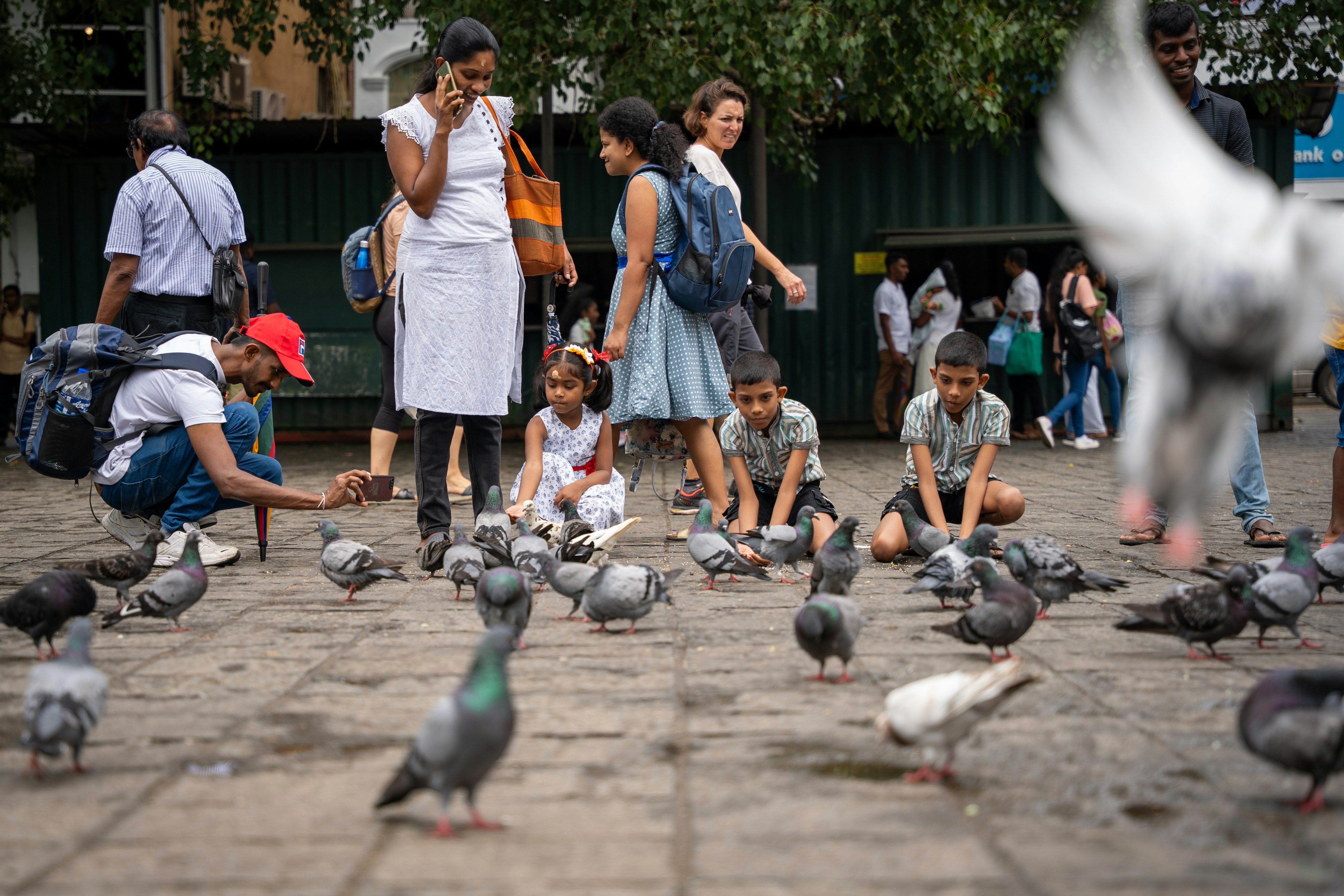Urban Plaza Communion: Children and Pigeons in Focus