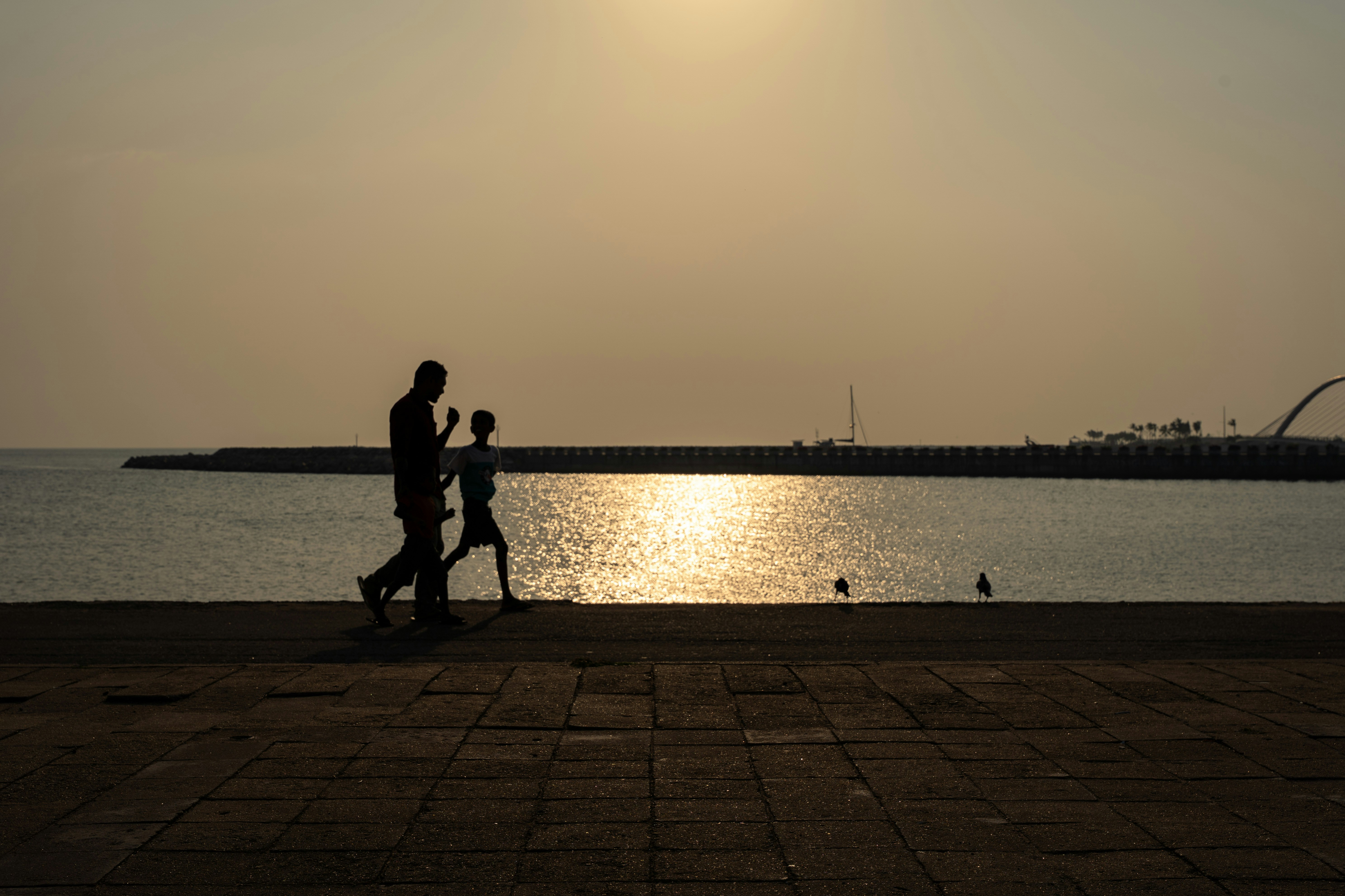 Photo by Thilina Alagiyawanna with Sony Alpha 7 III