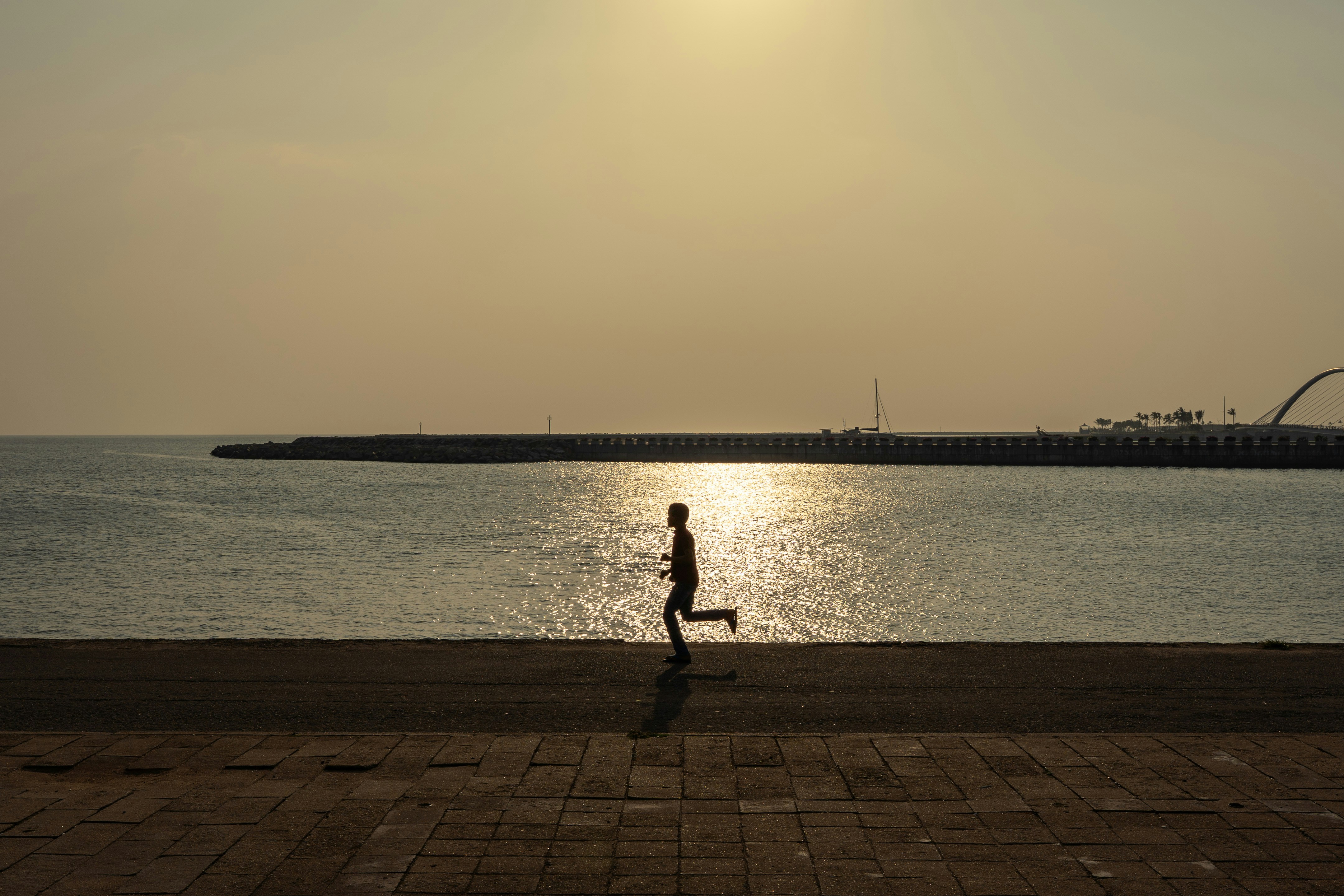 Silhouette Sprint by the Quiet Sea at Dusk