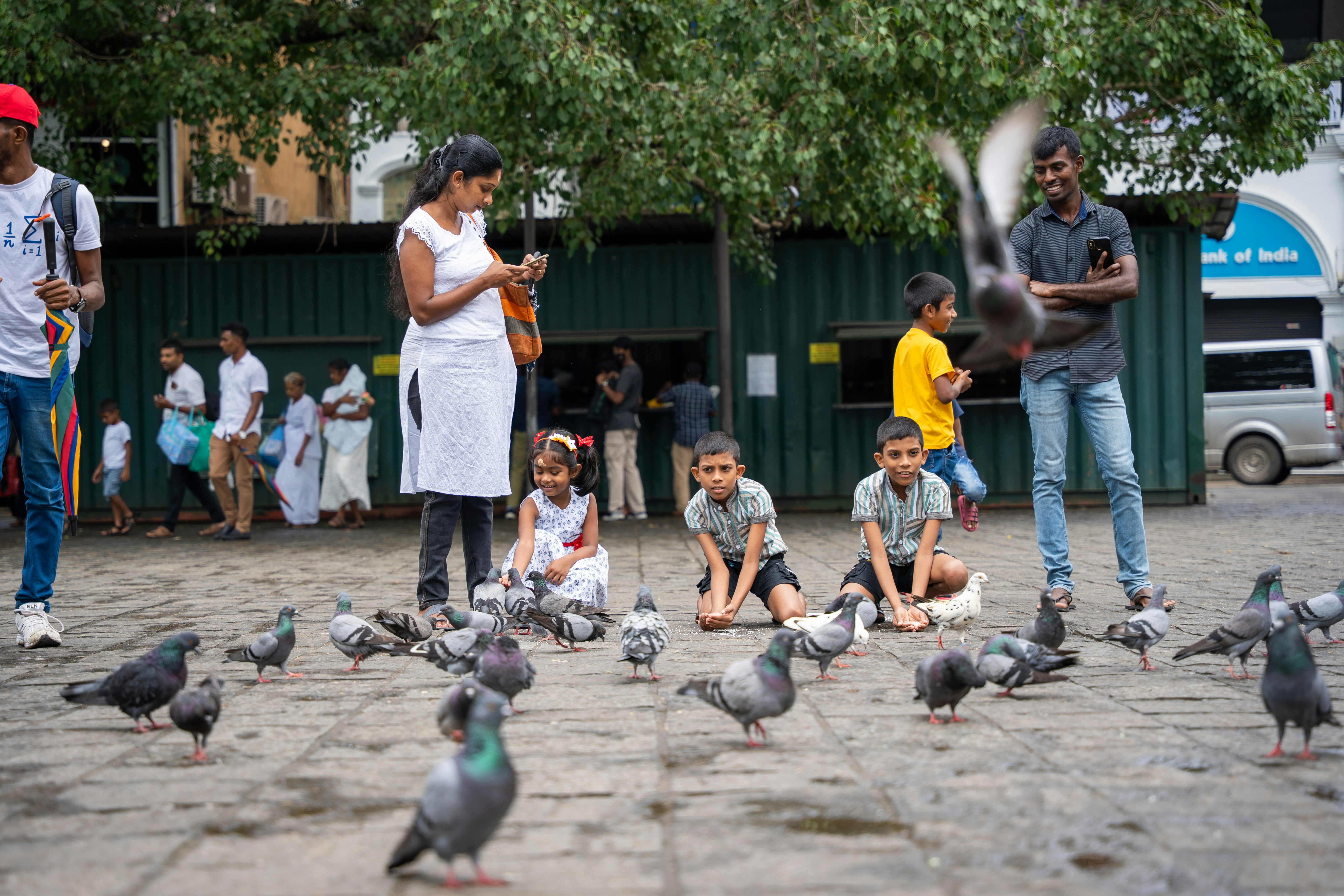 Children at Playful Pigeon Parade in the City Square