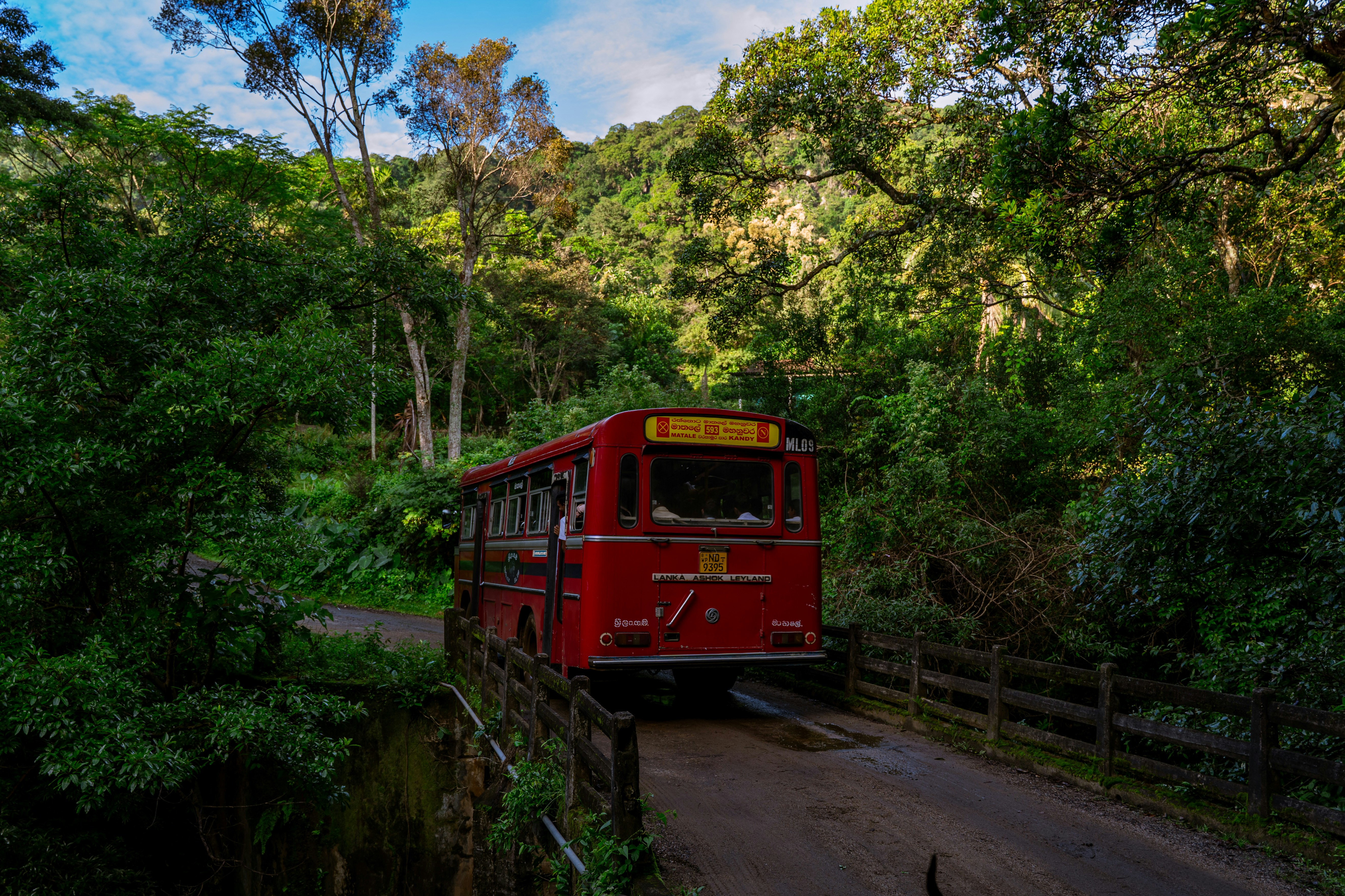 Red Heritage Bus Crossing a Forest Bridge