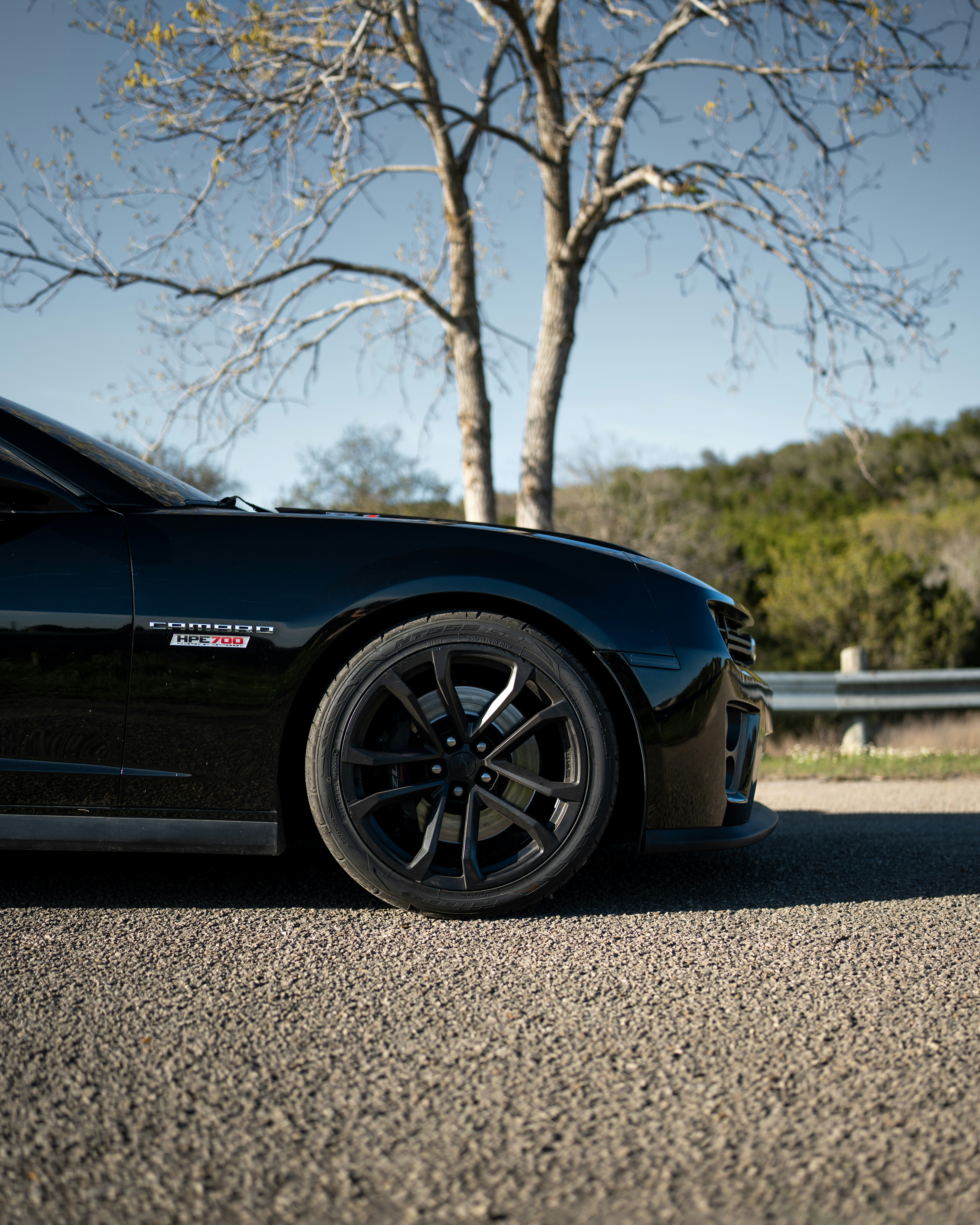 Black sports car parked on asphalt with a bare tree.