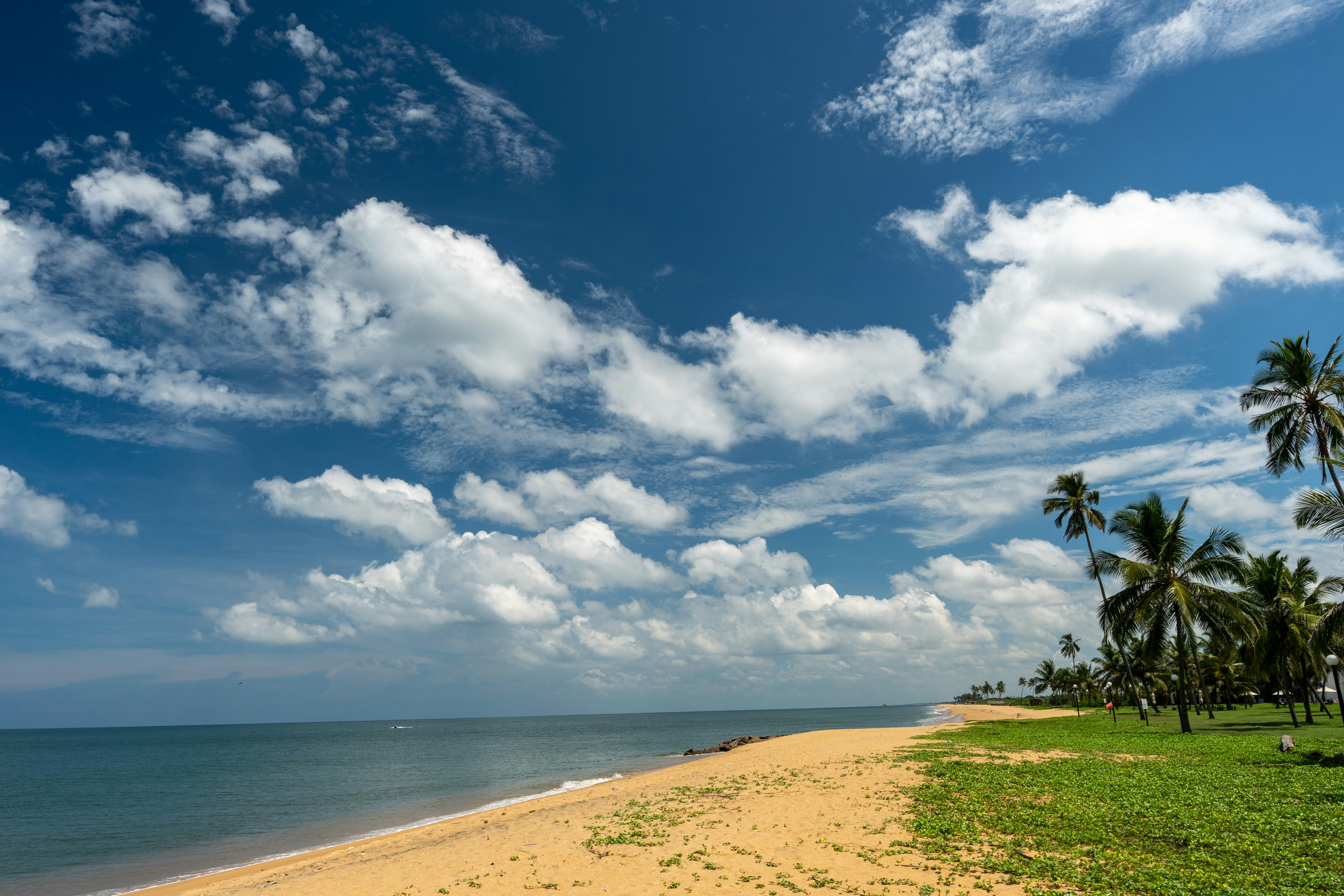 Sunlit Shoreline Under a Cobalt Sky