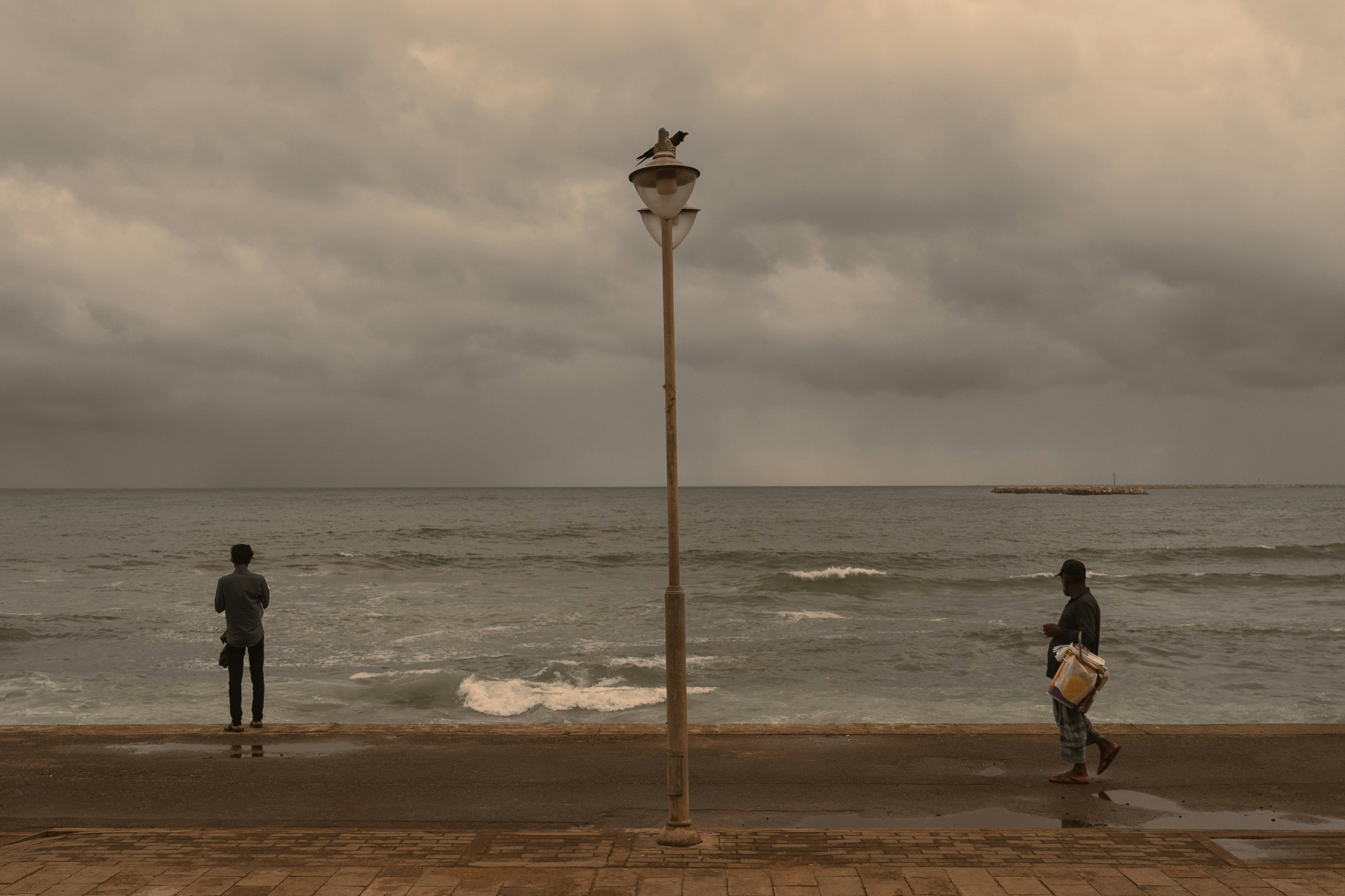 Seaside Vigil: A Seagull Perched Above a Quiet Beach Lamp