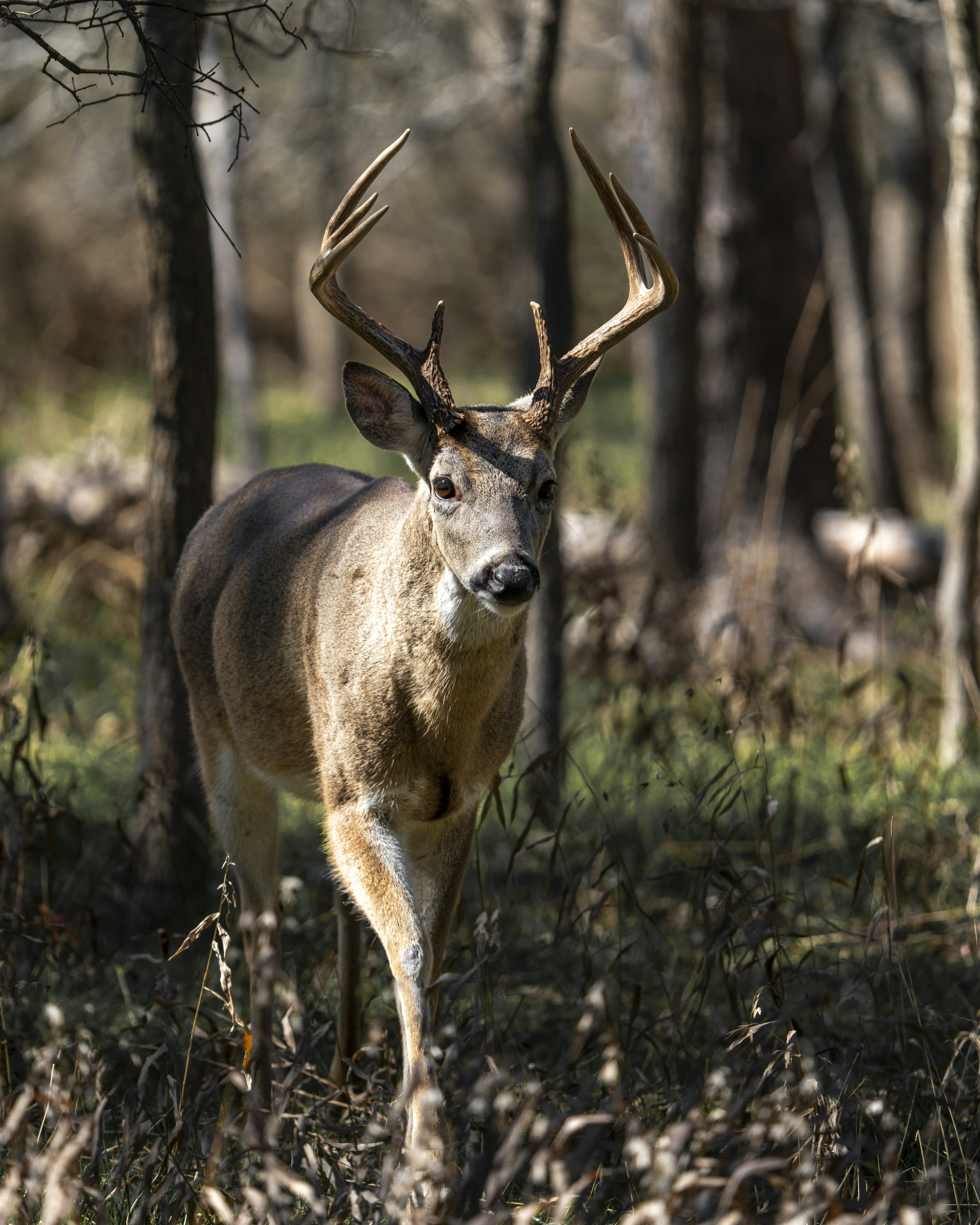 Photo by Salvo Media LLC with Sony Alpha 7R IIIA