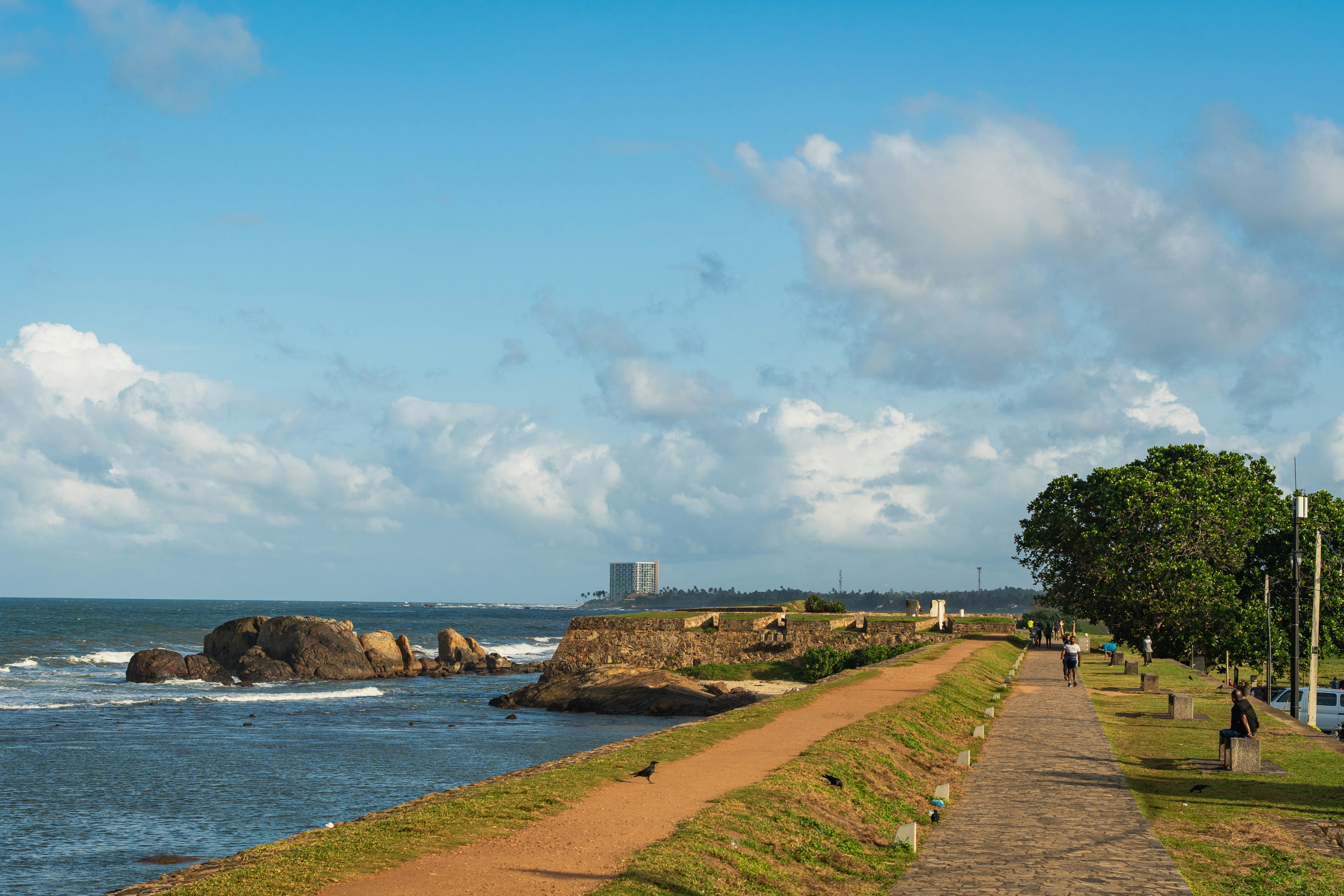 Seaside Promenade with Lush Trees and Distant Skyline