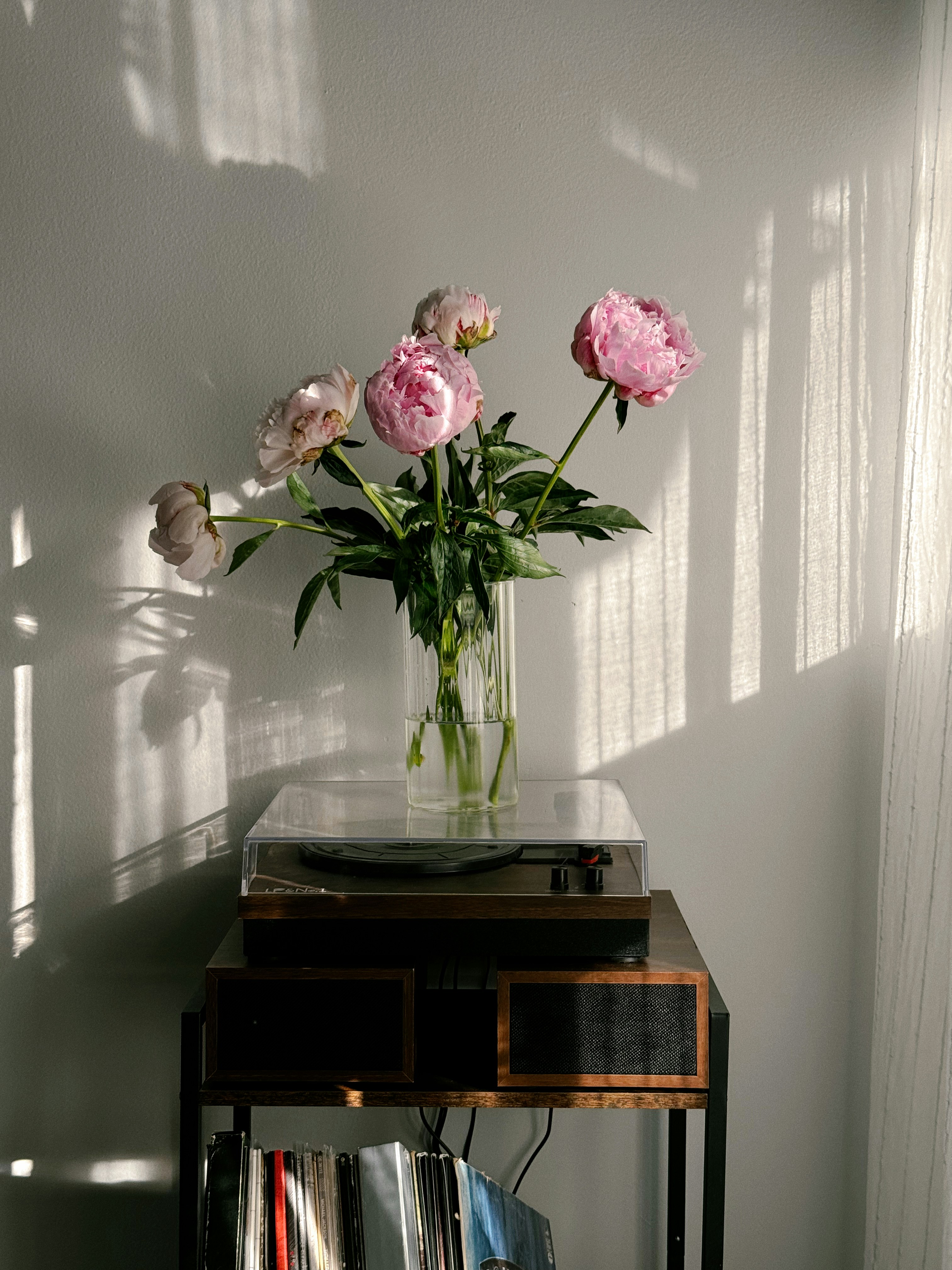 Blossoms on a Quiet Console