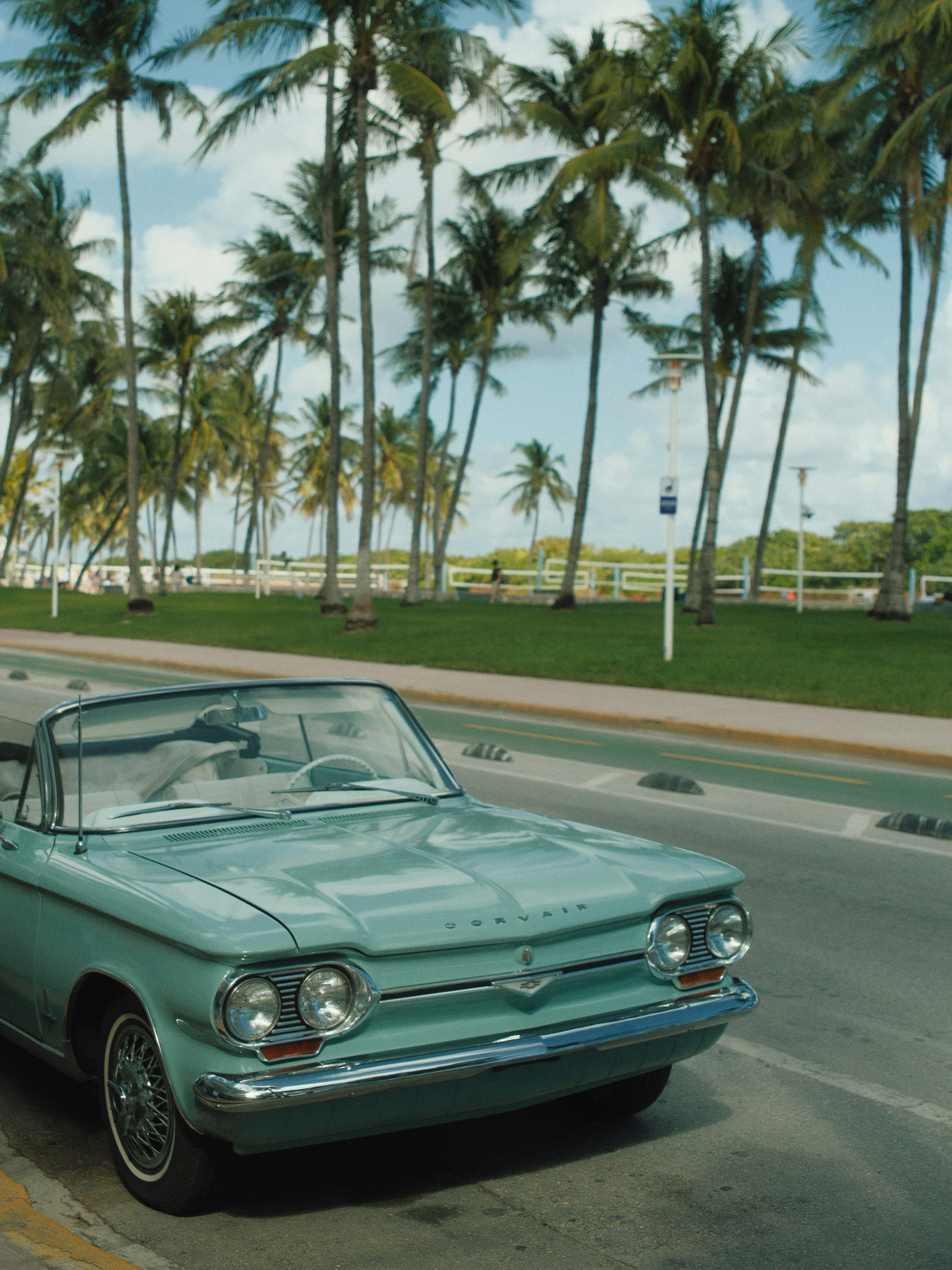 Pastel Convertible by the Palm-lined Shore