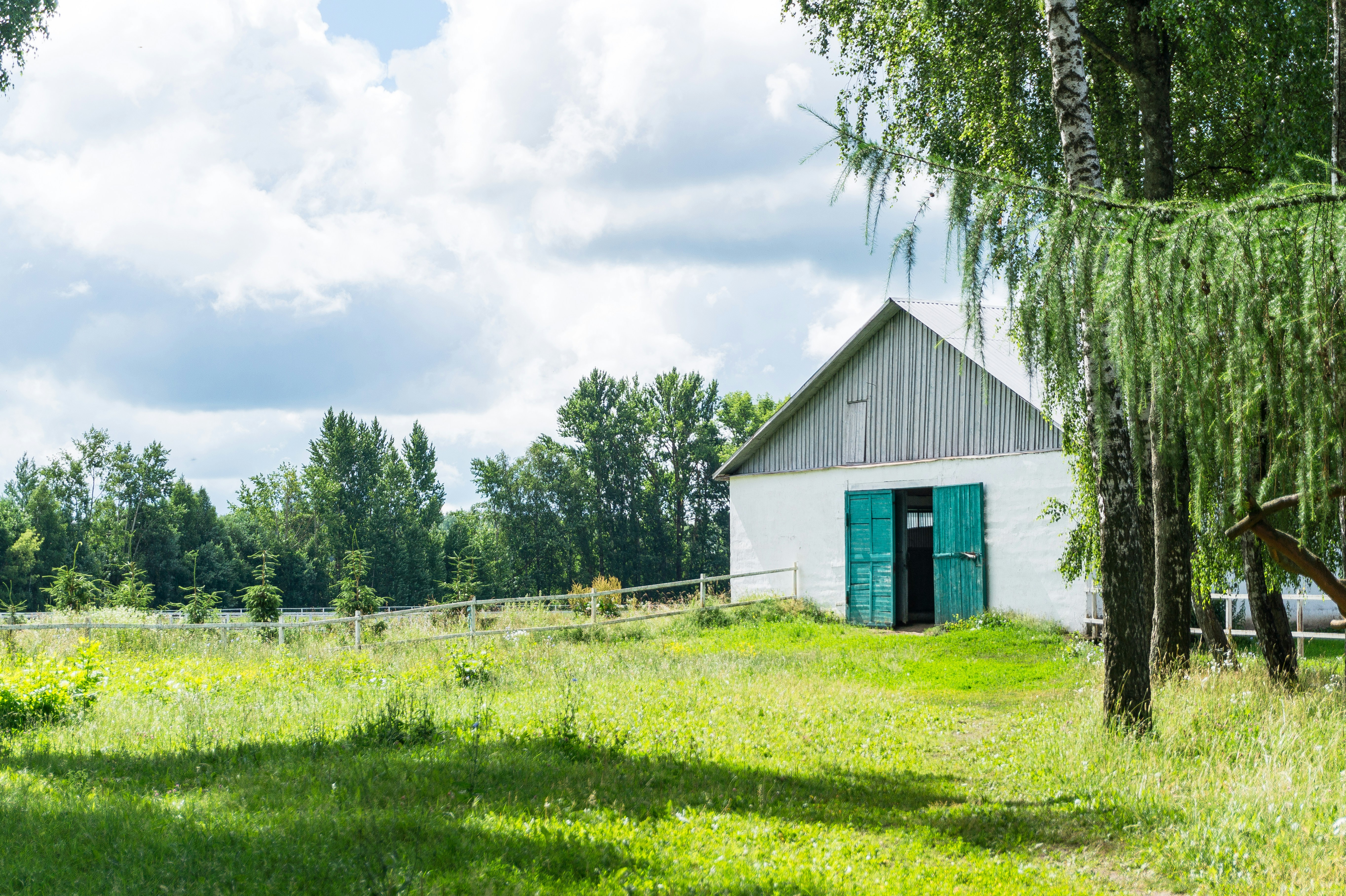 White countryside house with teal door, surrounded by green trees and open meadow
