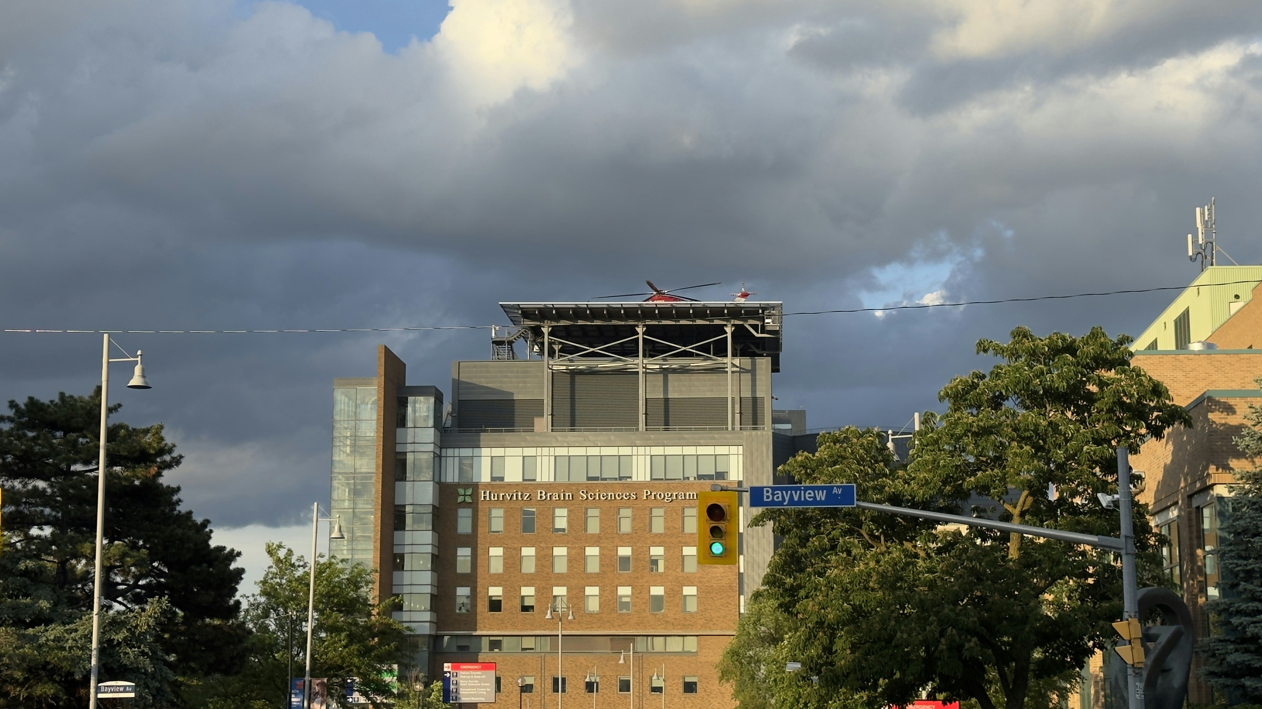 Skyward Campus: A City Building Framed by Trees Under a Dramatic Sky