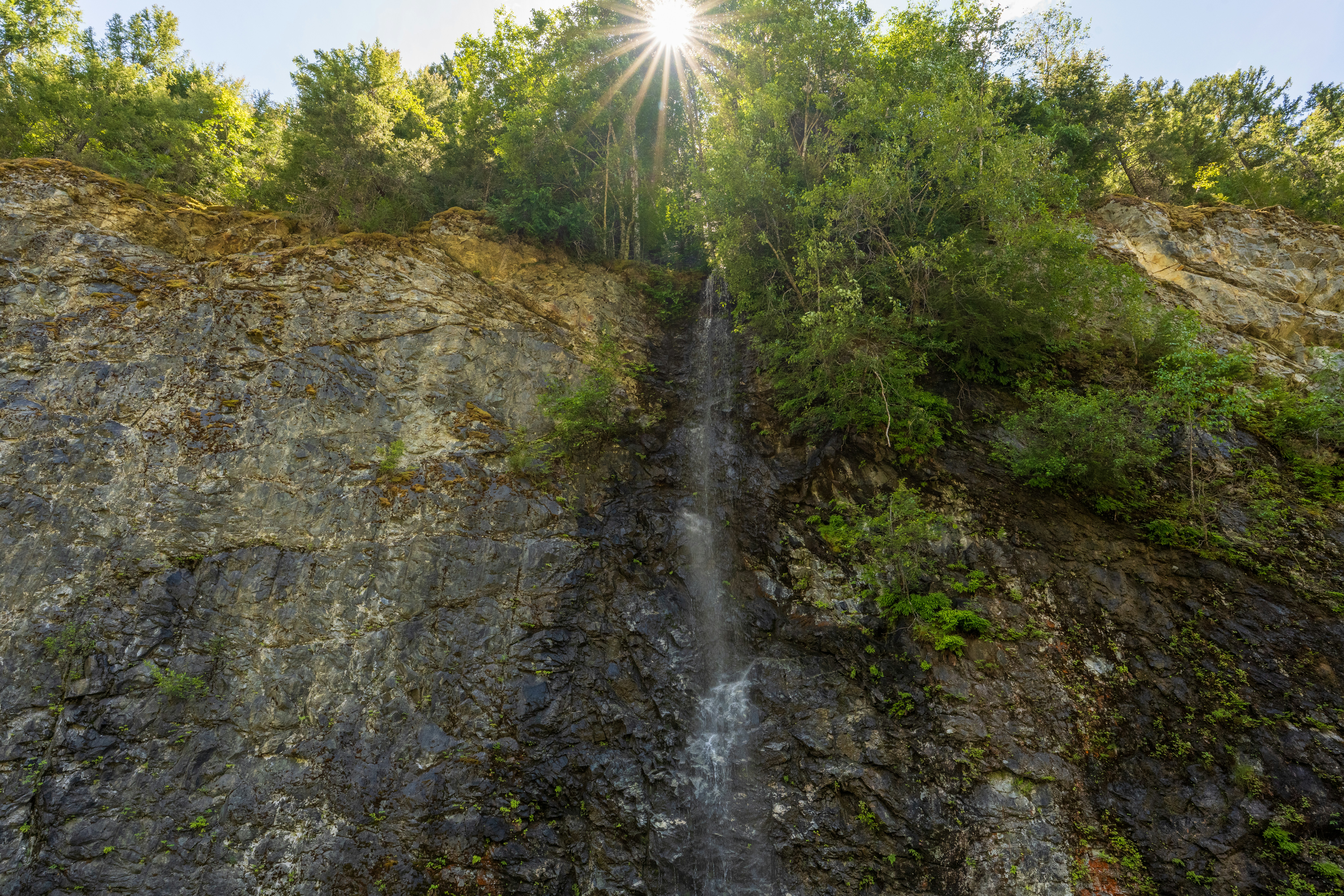 Sunlit Veil: A Narrow Cascade Between Cliffside Pines