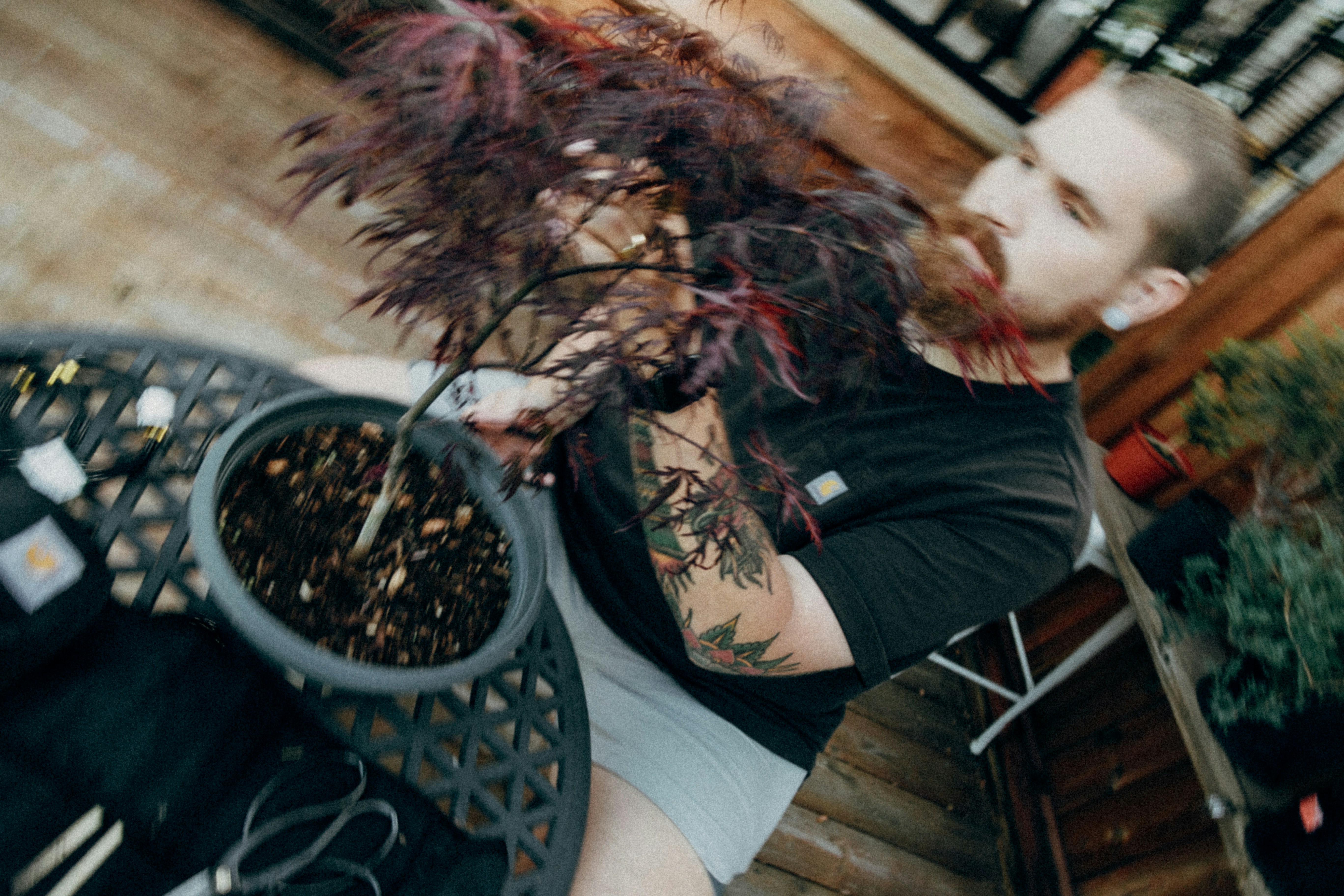 Portrait of Focused Calm: A Gardener Pauses with a Red-Leaf Plant