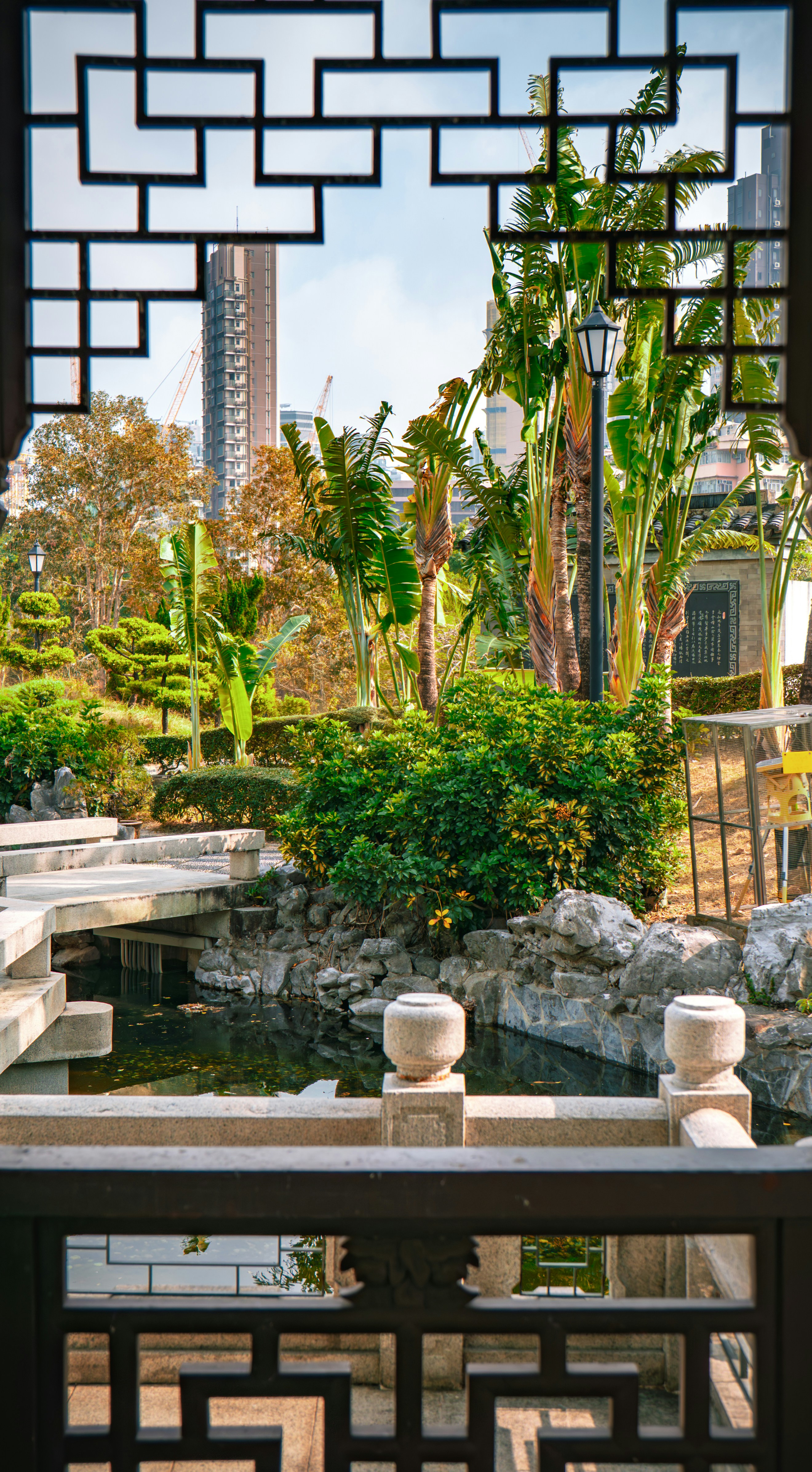Geometric Frame Over Garden: A Urban-Garden Vista Through Lattice Cutouts