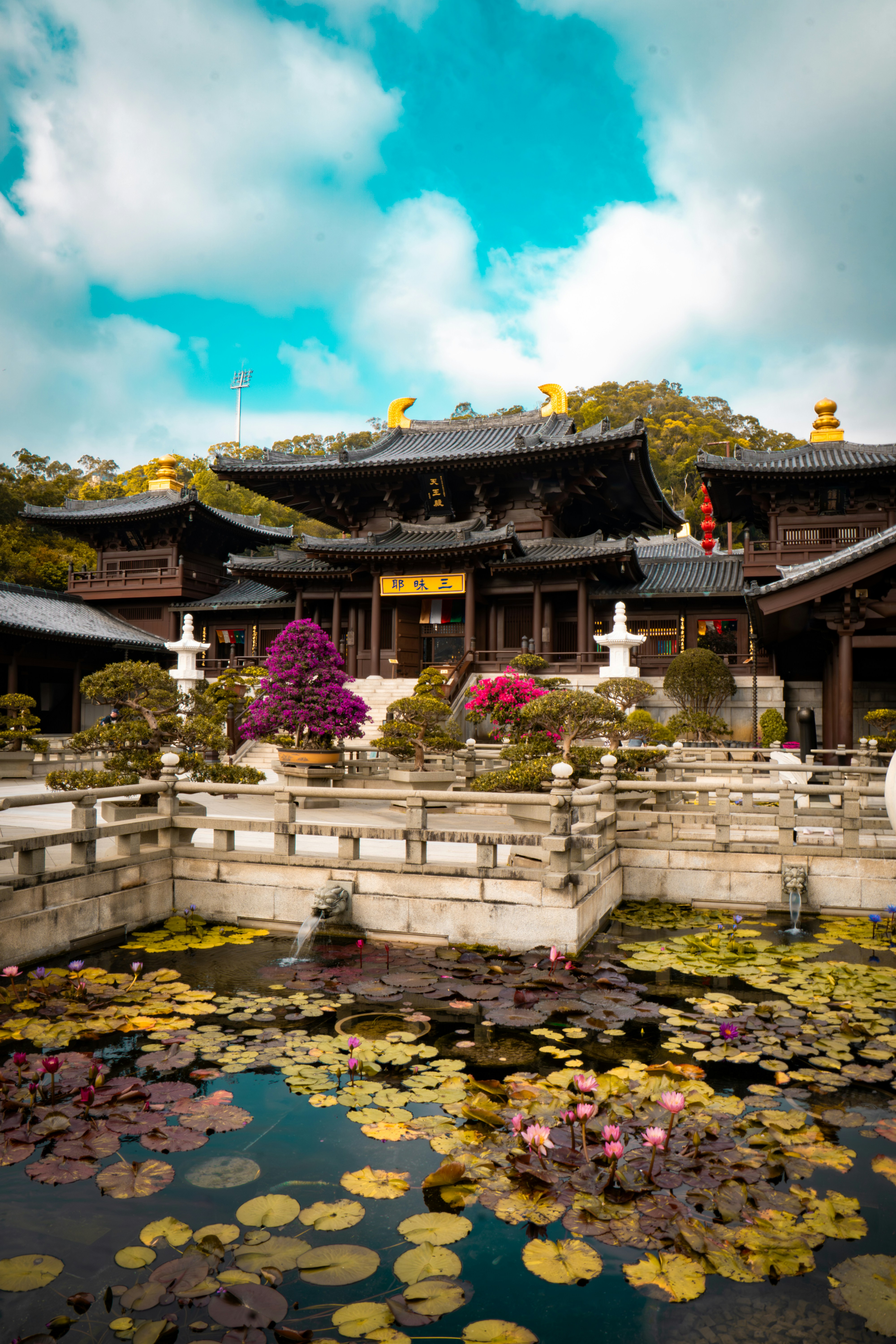 Temple Courtyard in Bloom Over a Lily-Pond Pool