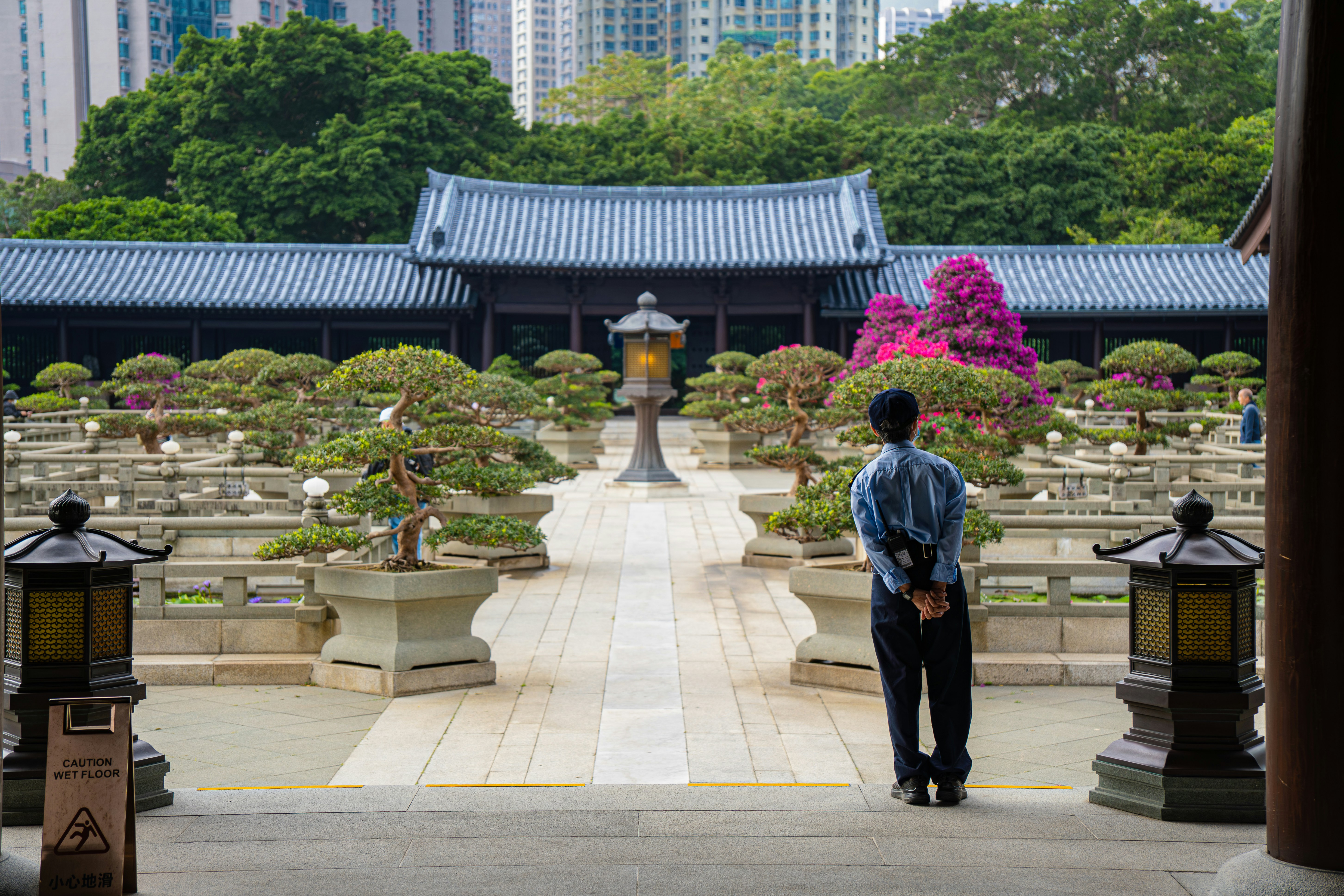Quiet Solemnity: The Gardener Stands Before a Sacred Courtyard