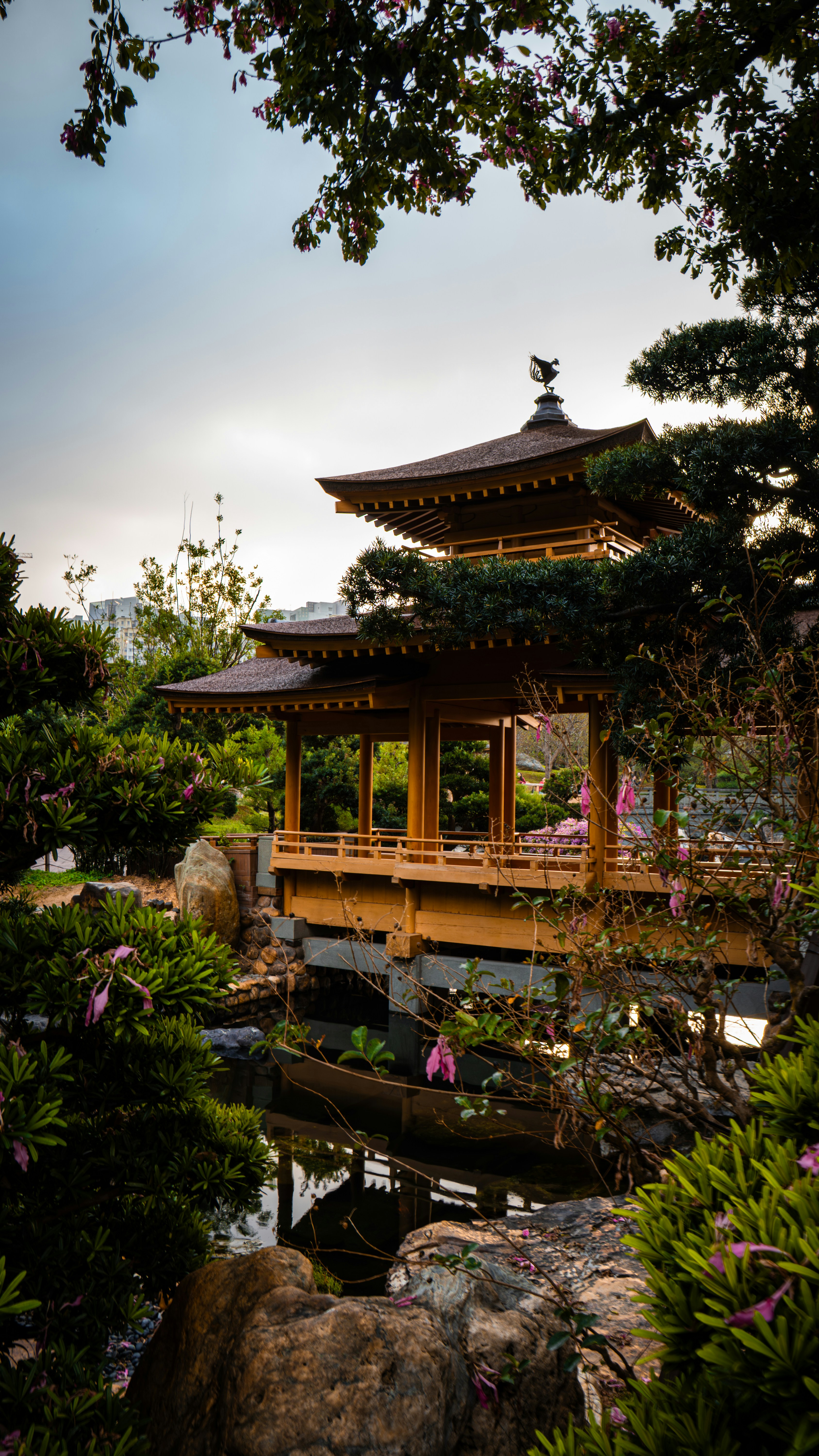 Zen Timber Lantern: A Japanese Garden Pavilion Framed by Quiet Waters