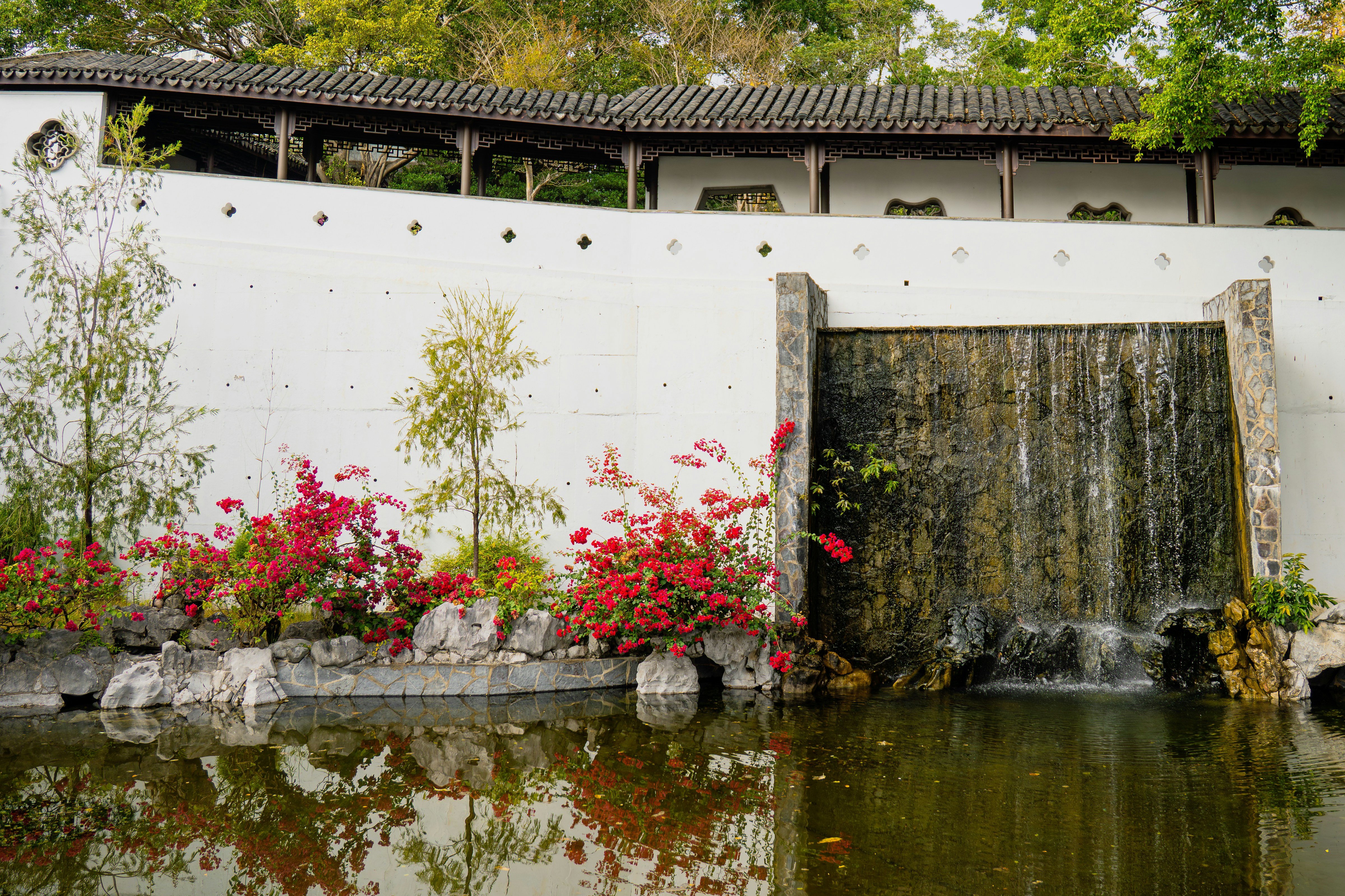 White wall with cascading waterfall, pond, and red flowers