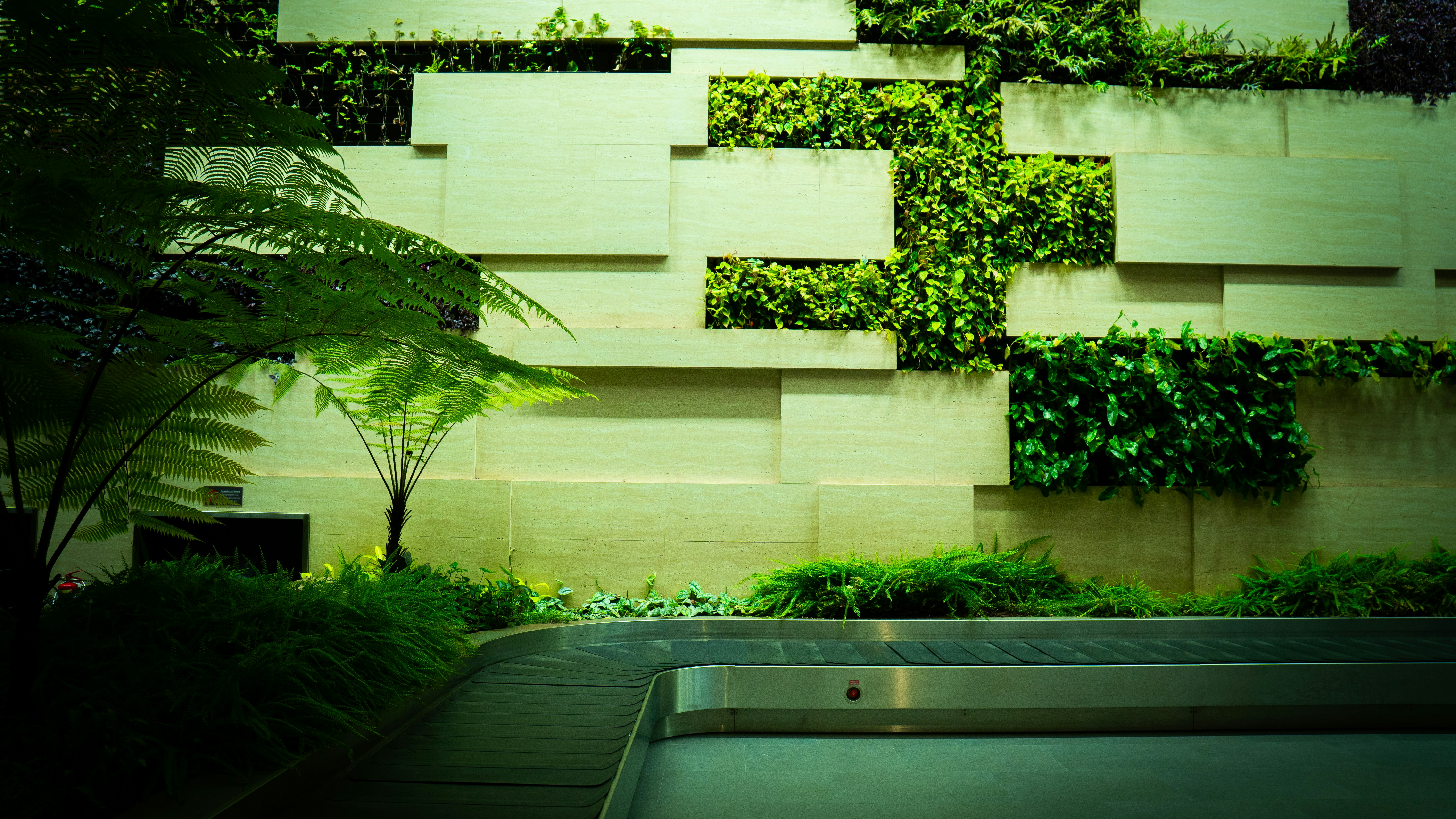 Urban Garden Mosaic on Quiet Courtyard Wall