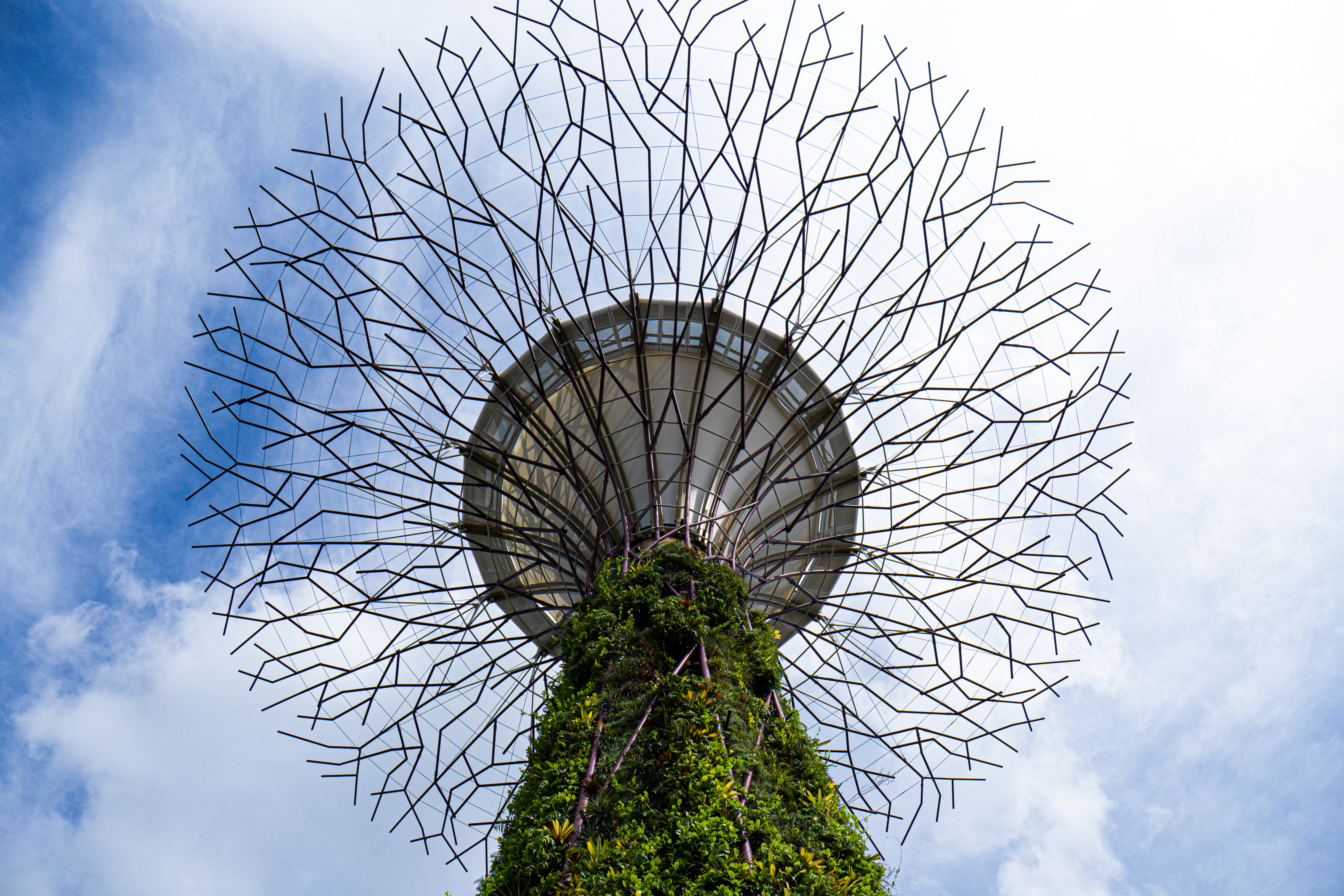 Skyward Bloom: The Iron Tree Crown Over a Verdant Spire