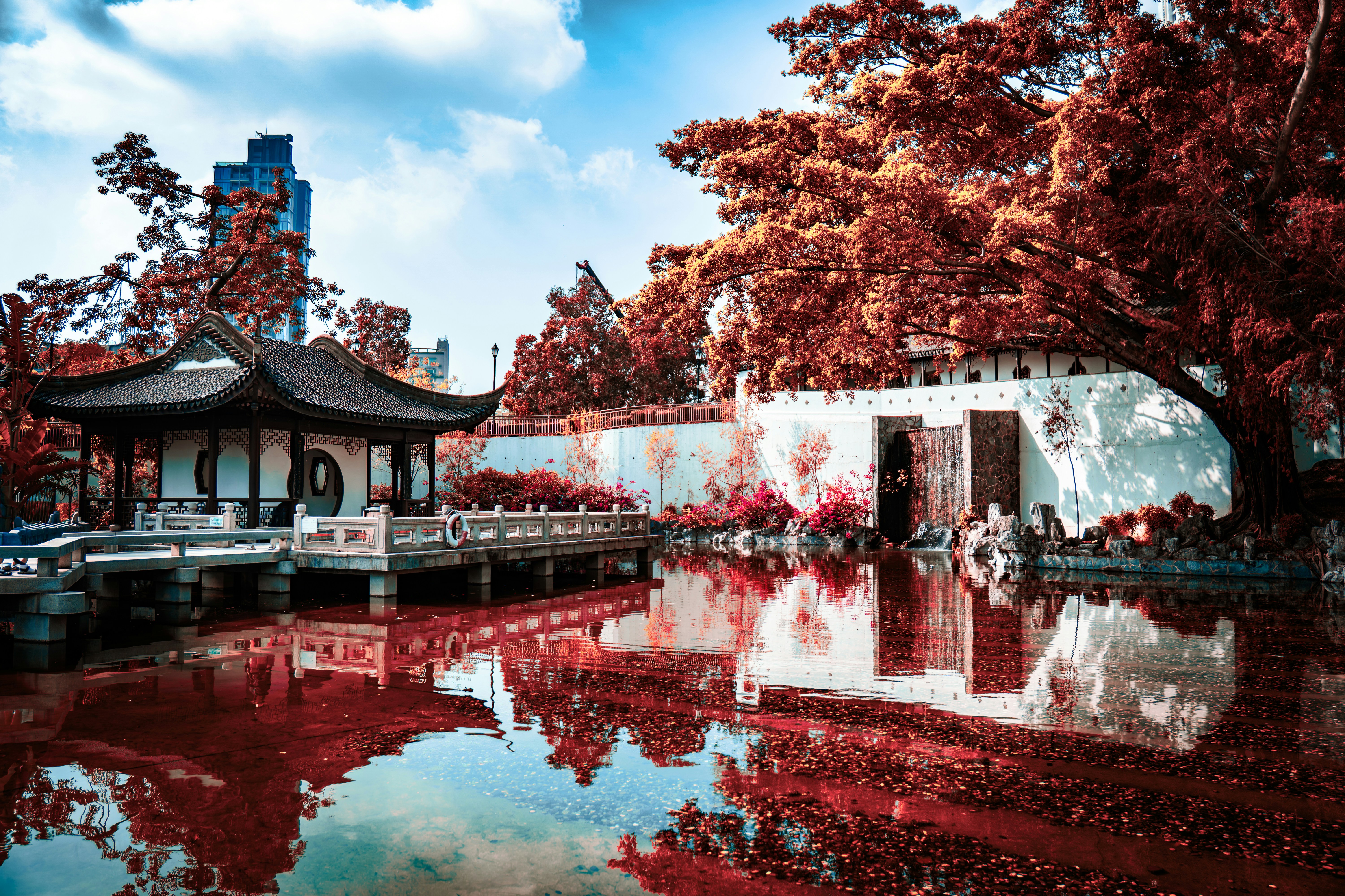 Reflections of Harmony: A Traditional Pavilion by a Serene Water Garden