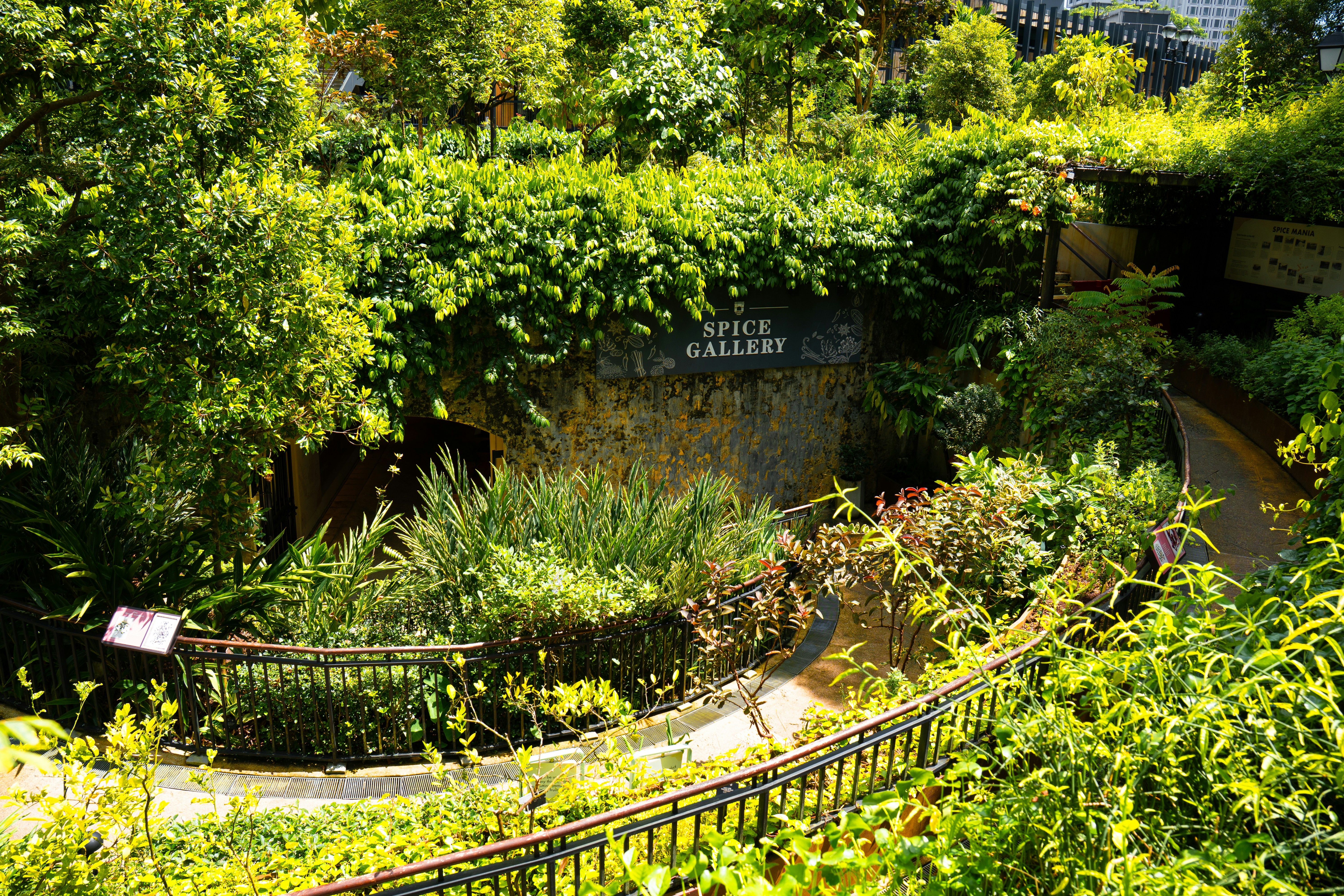 Sunlit Terrace of Spice Garden