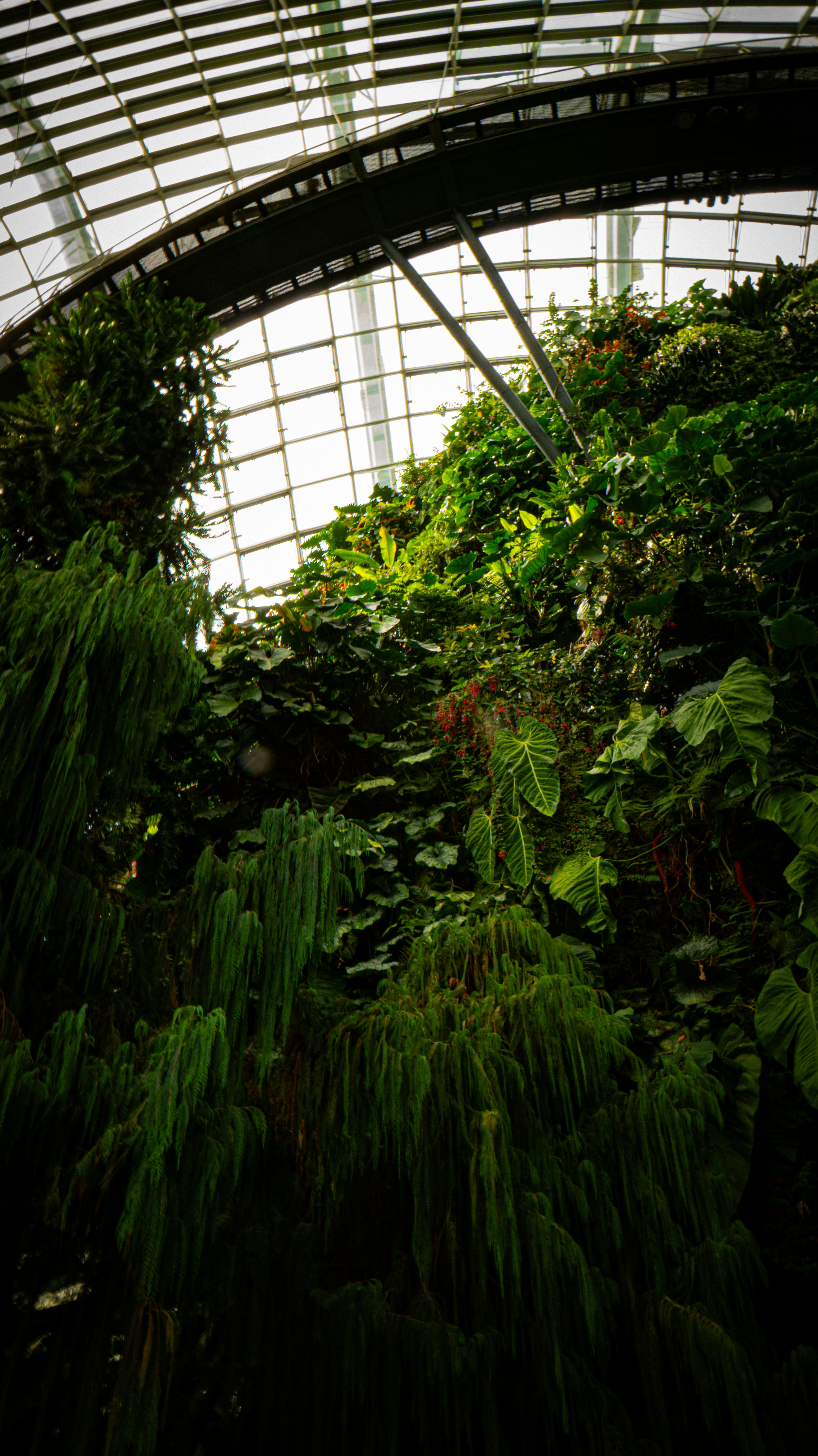 Verdant Atrium: Glass Roof Overhangs a Living Wall