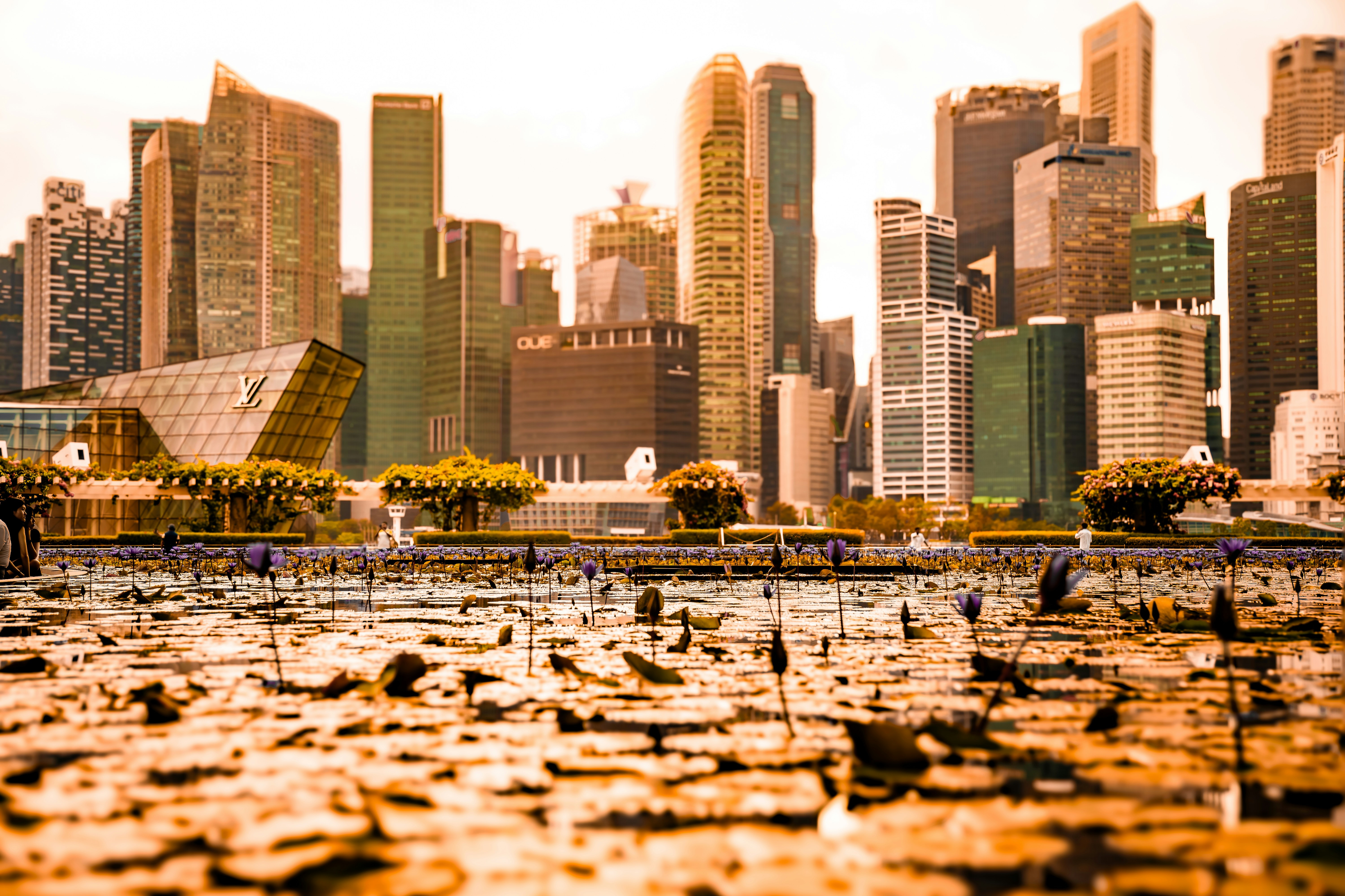 Sunlit Marina Skyline from a Low Tide Perspective