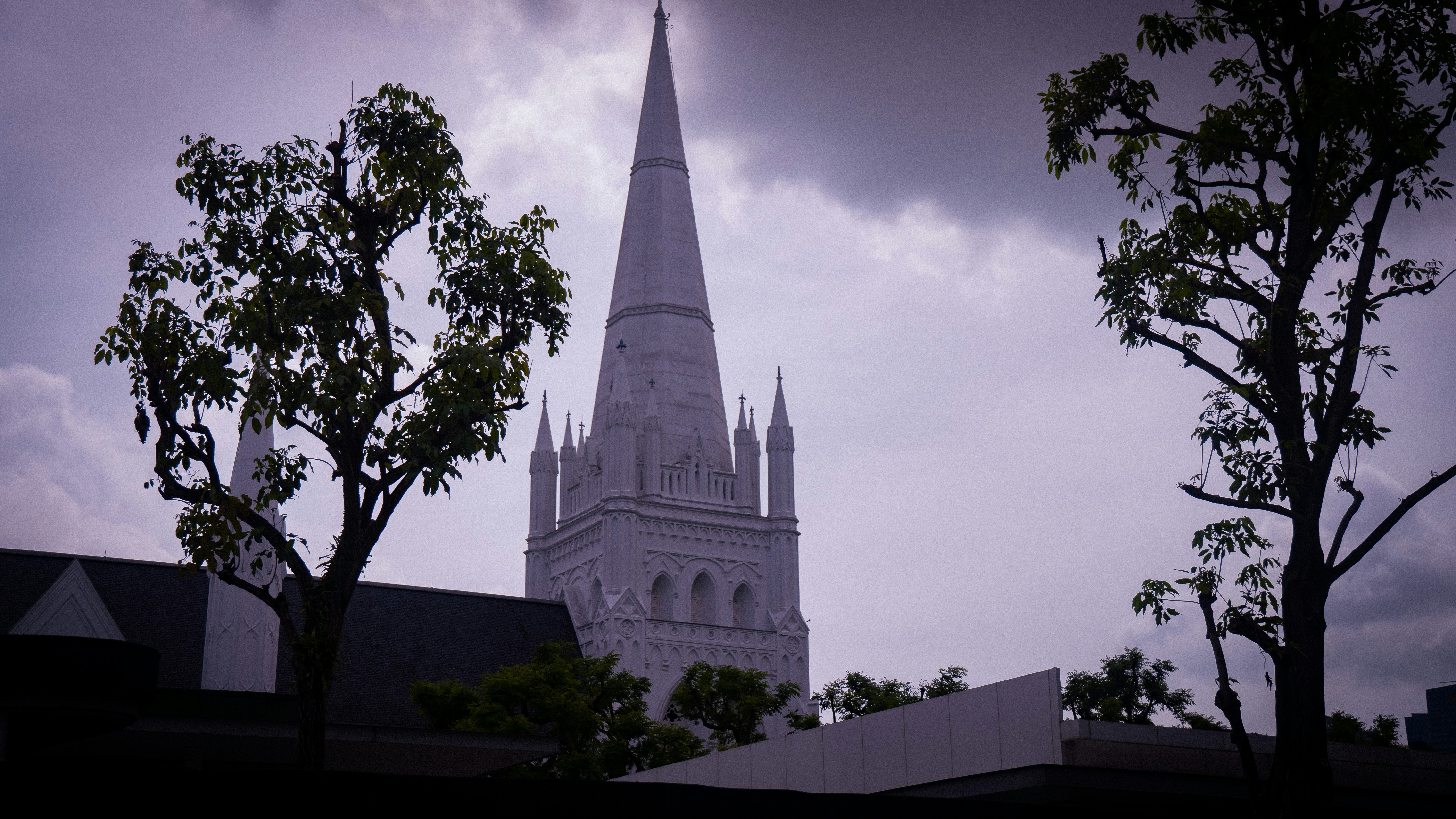 City Spire Amid Silent Trees