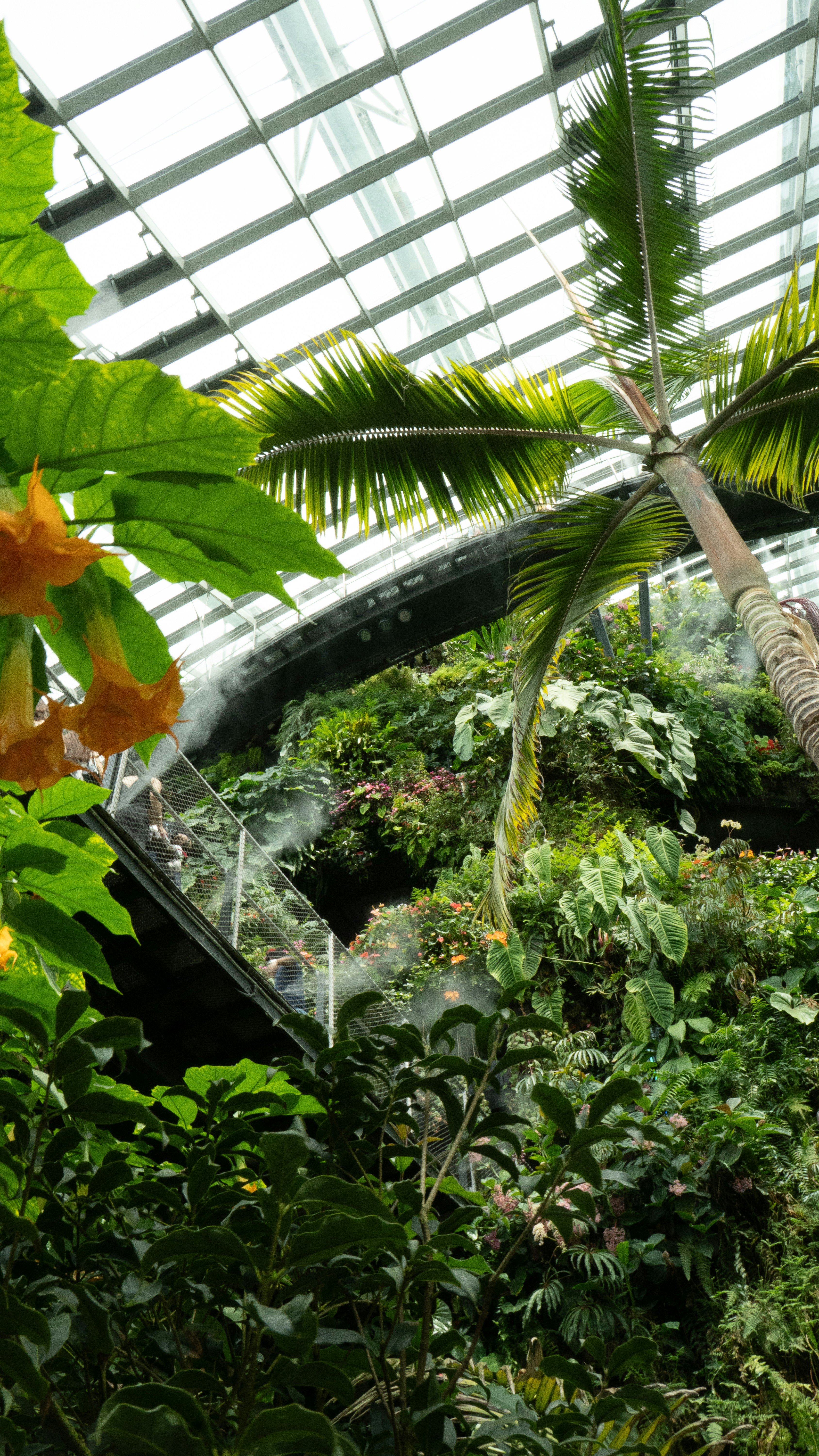 Glassy Conservatory Canopy Surrounded by Tropical Foliage