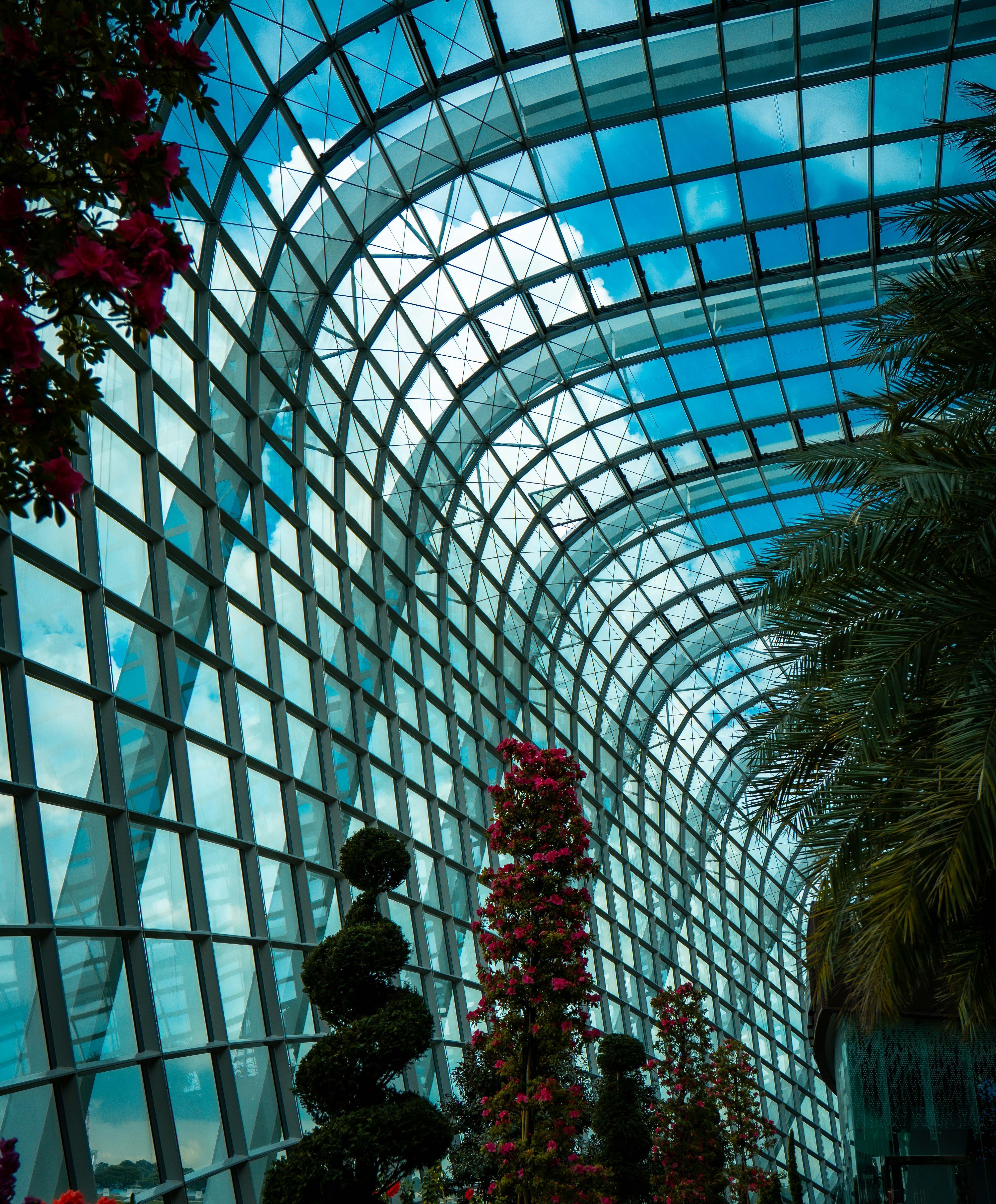 Cascading Glass Atrium: Lines, Light, and Greenery