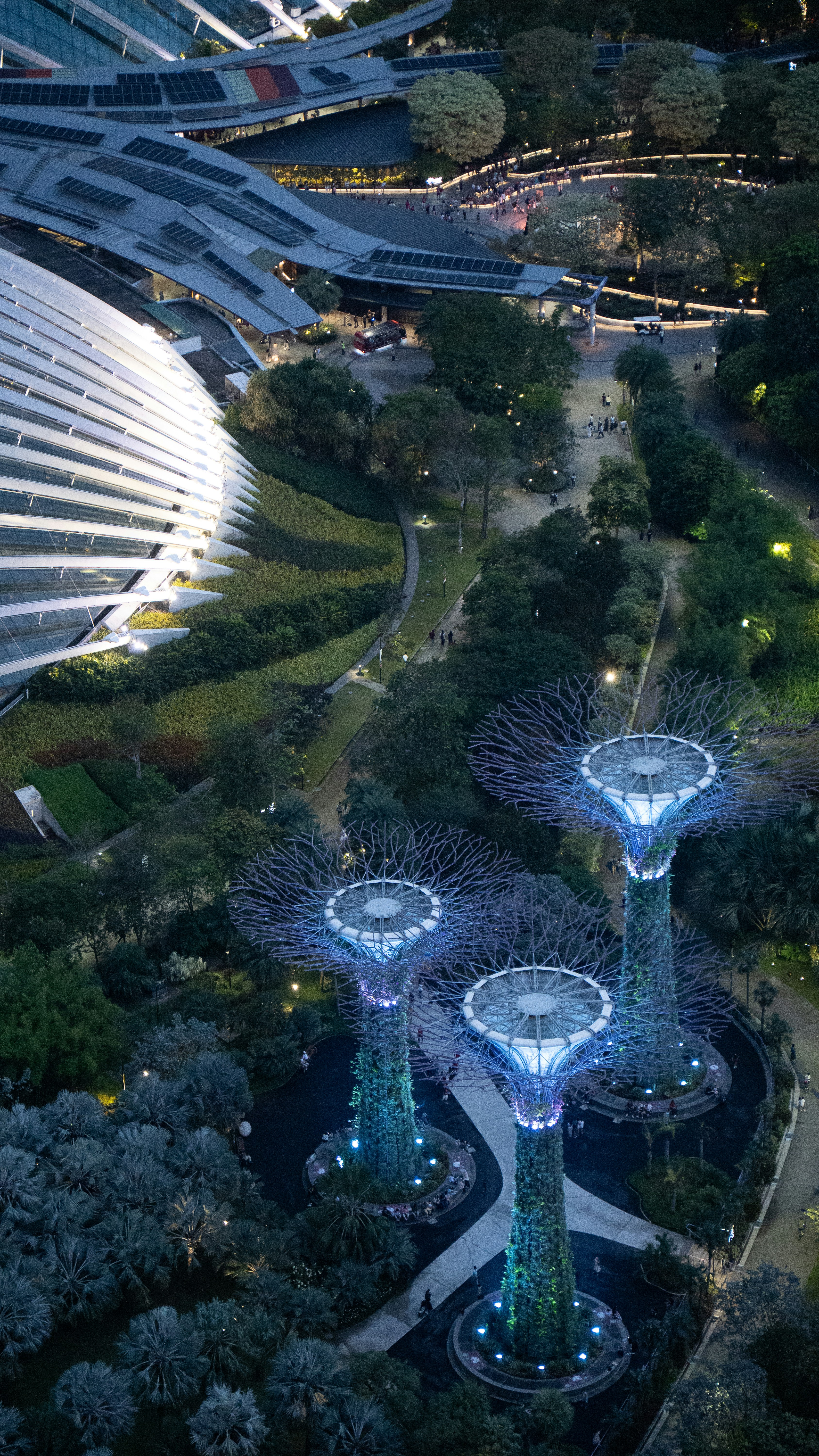 Vertical Oasis: Supertrees Amid Marina Bay’s Sculpted Skyline