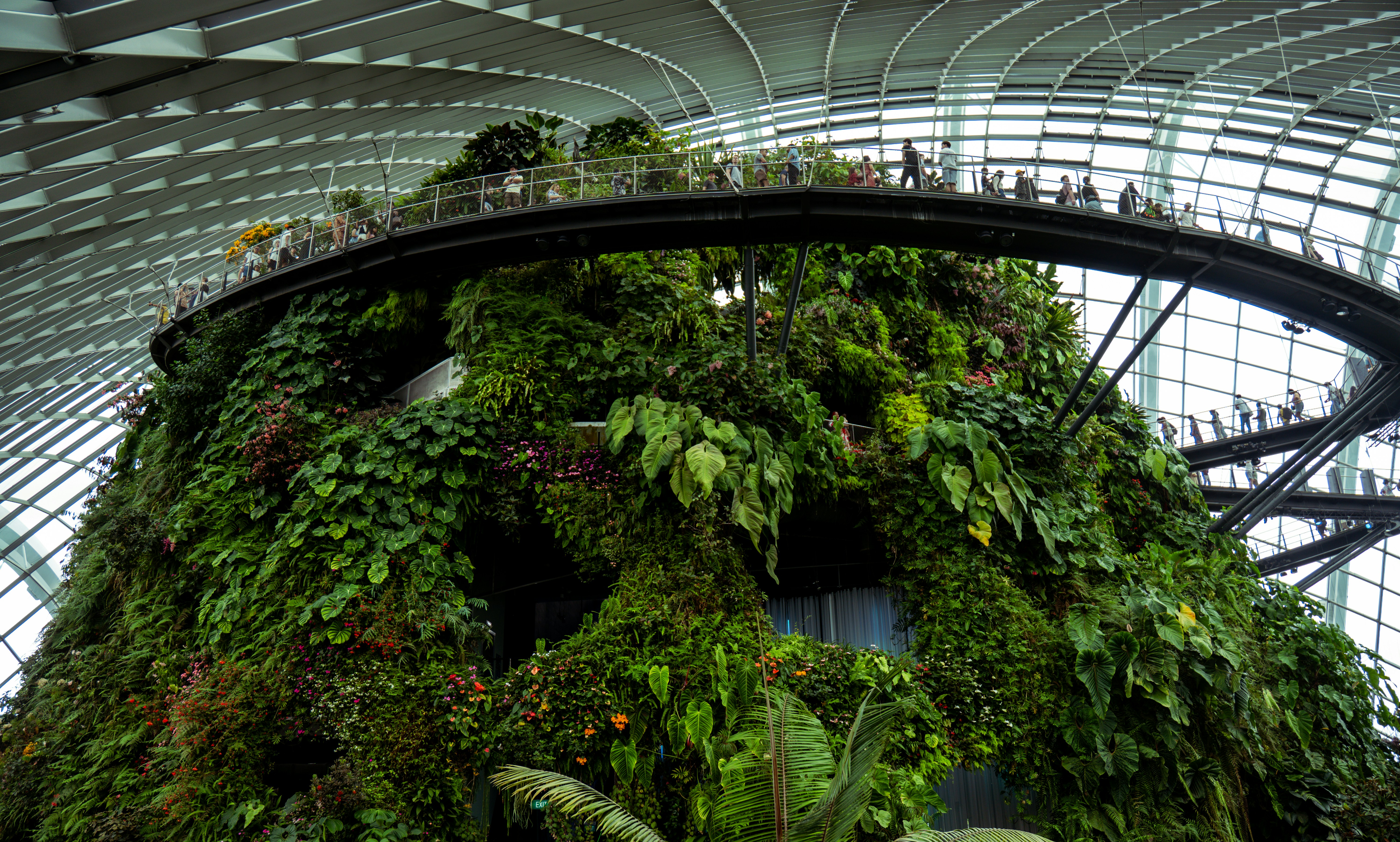 Vertical Garden Atrium: A Skyward Walk Among Greenery