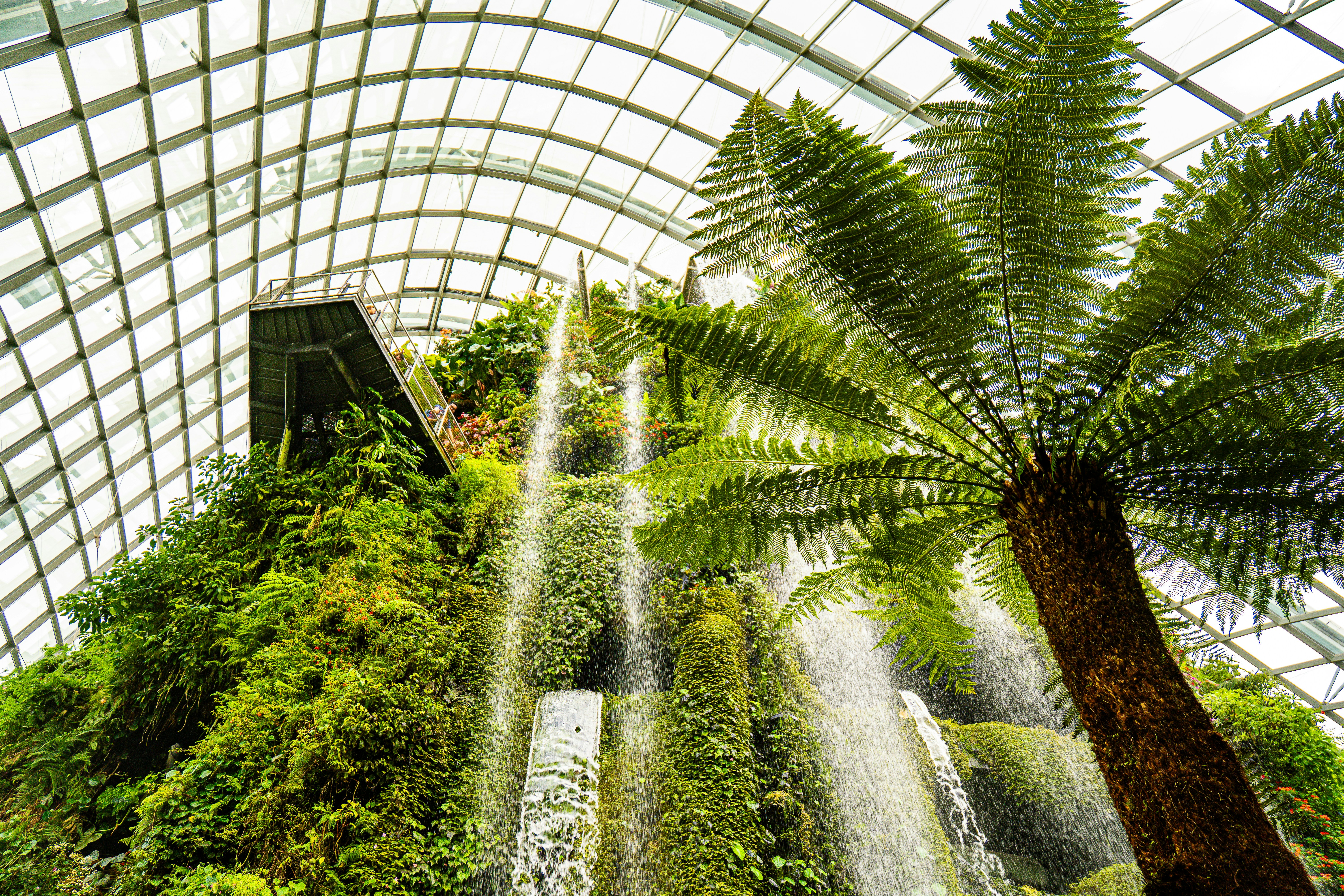 Verdant Cathedral: Inside a Glass Conservatory with Ferns and Waterfalls