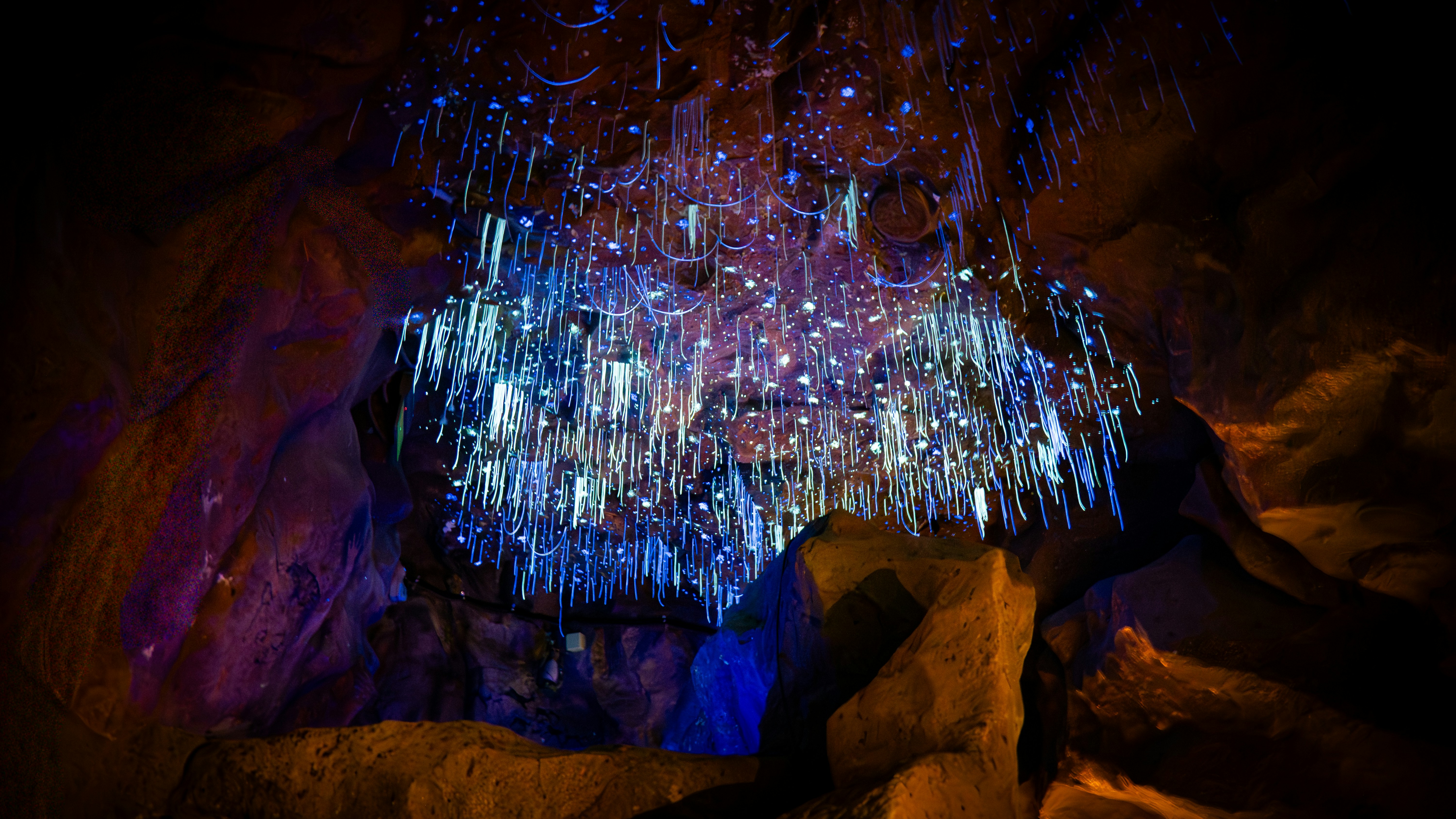 Glowing Specks in a Velvet Cave