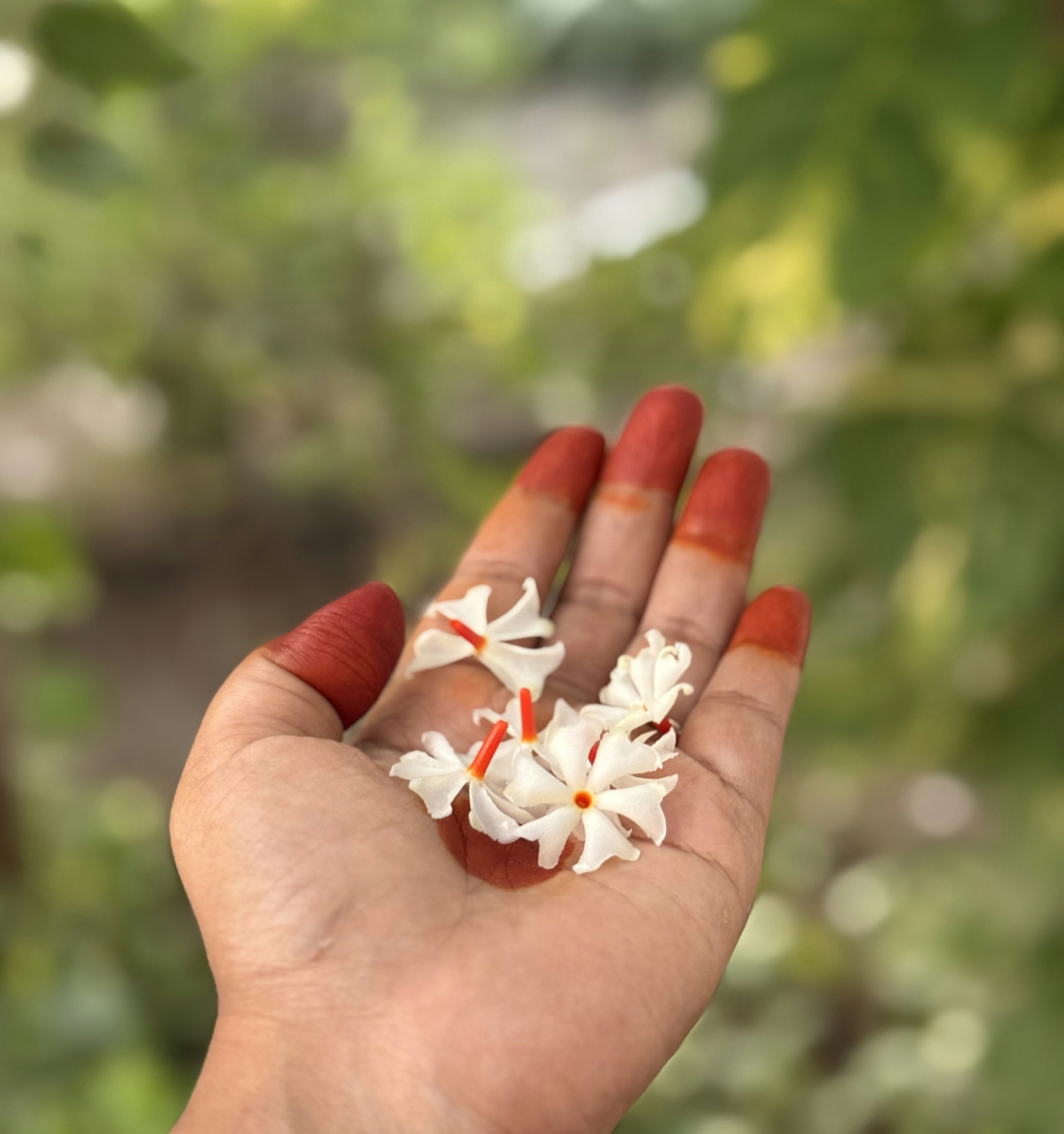 A hand with henna holding delicate white flowers.