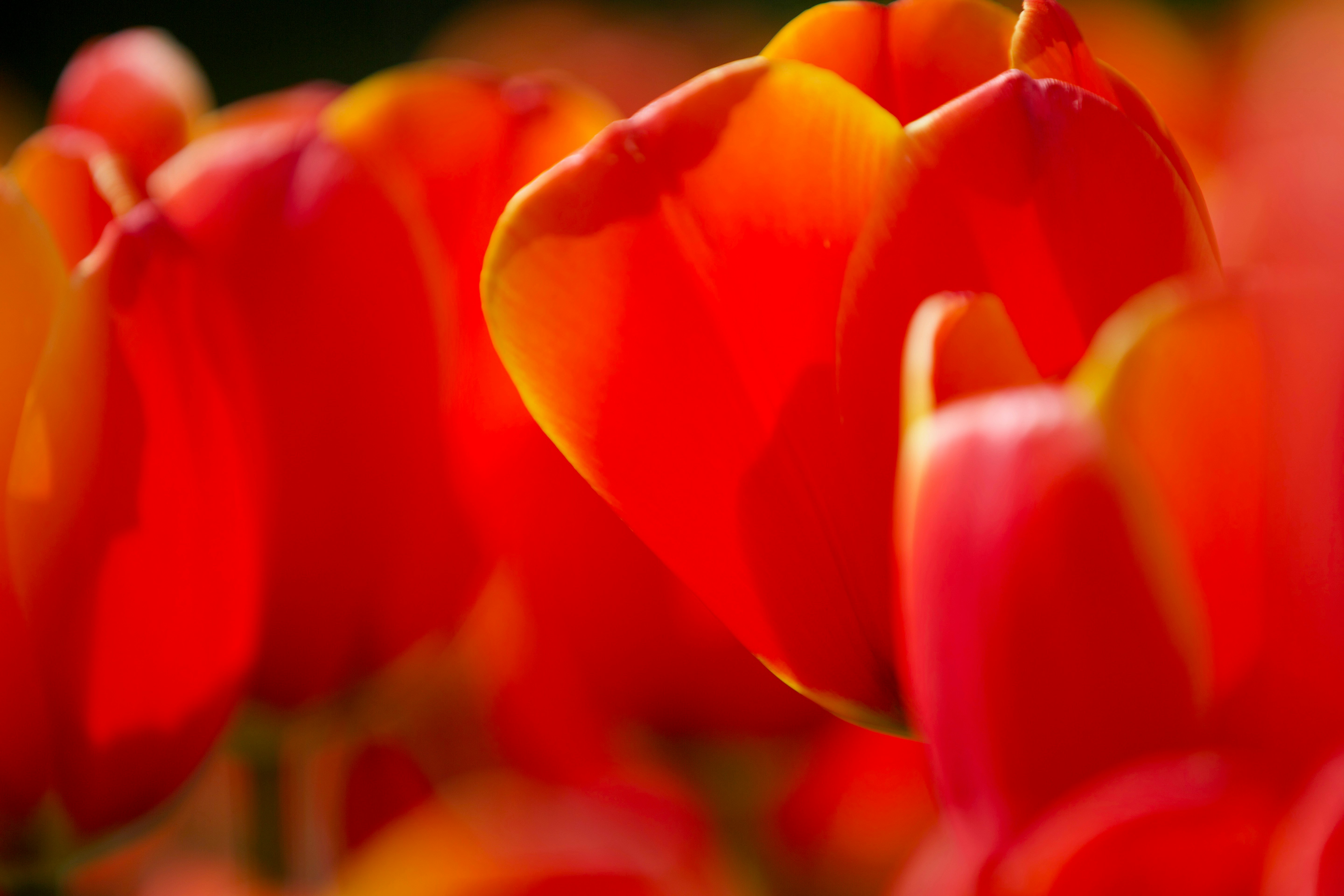 Photo by Xiangkun ZHU with Canon EOS 5D Mark III