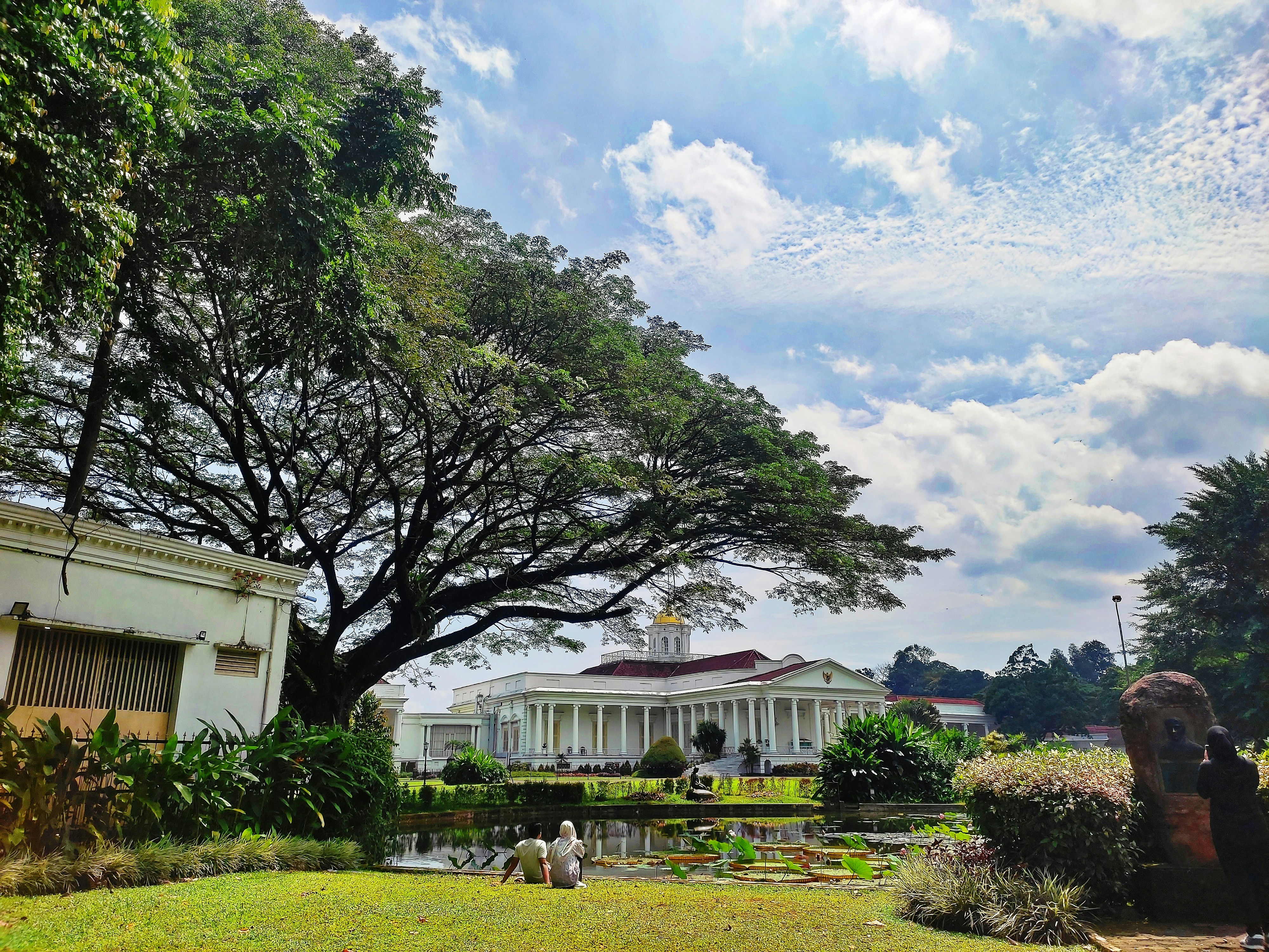 Emerald Park Pavilion Framed by a Majestic Shade Tree