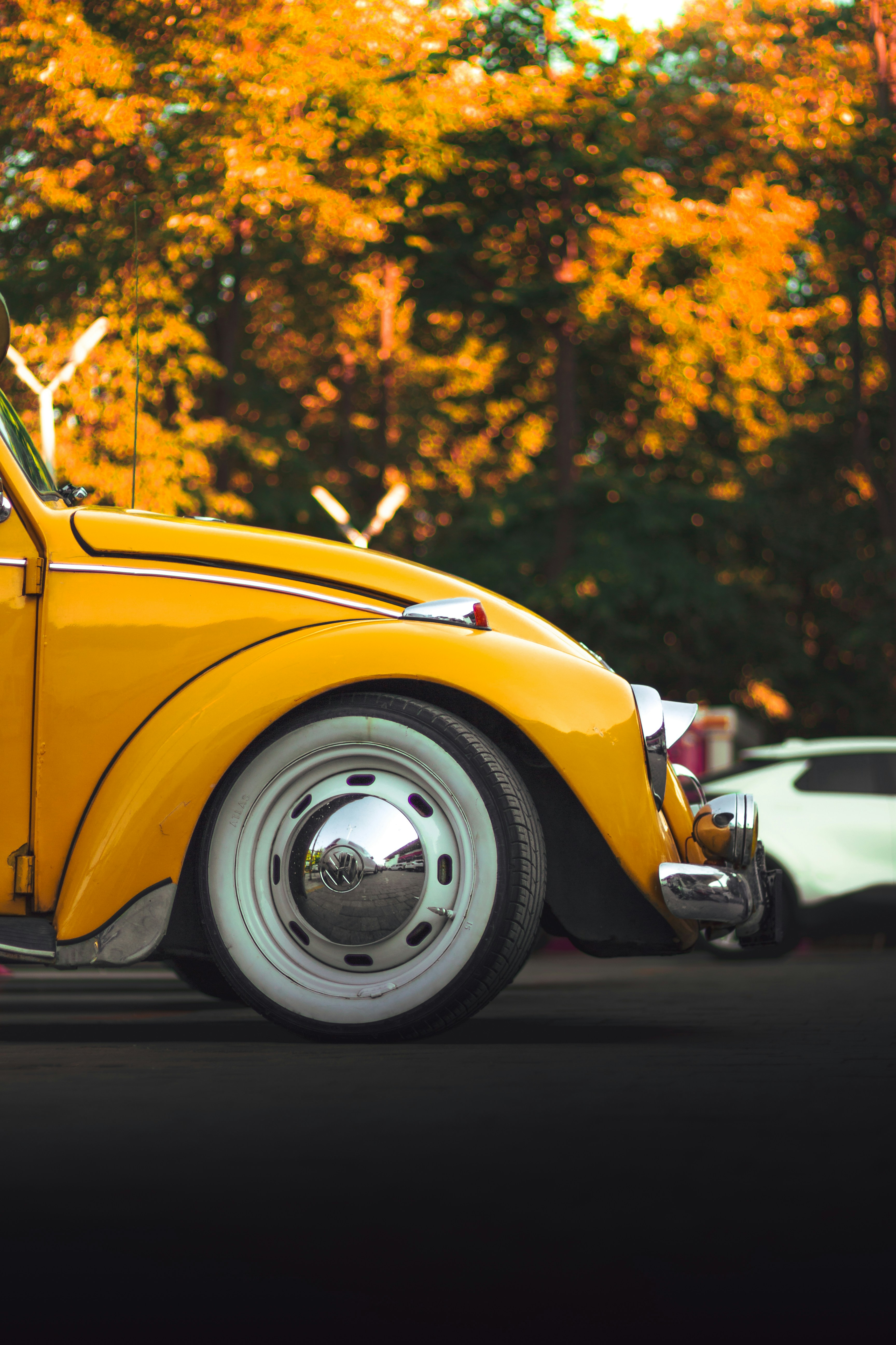 Sunlit Beetle: A Bright Yellow Volkswagen at the Edge of Autumn