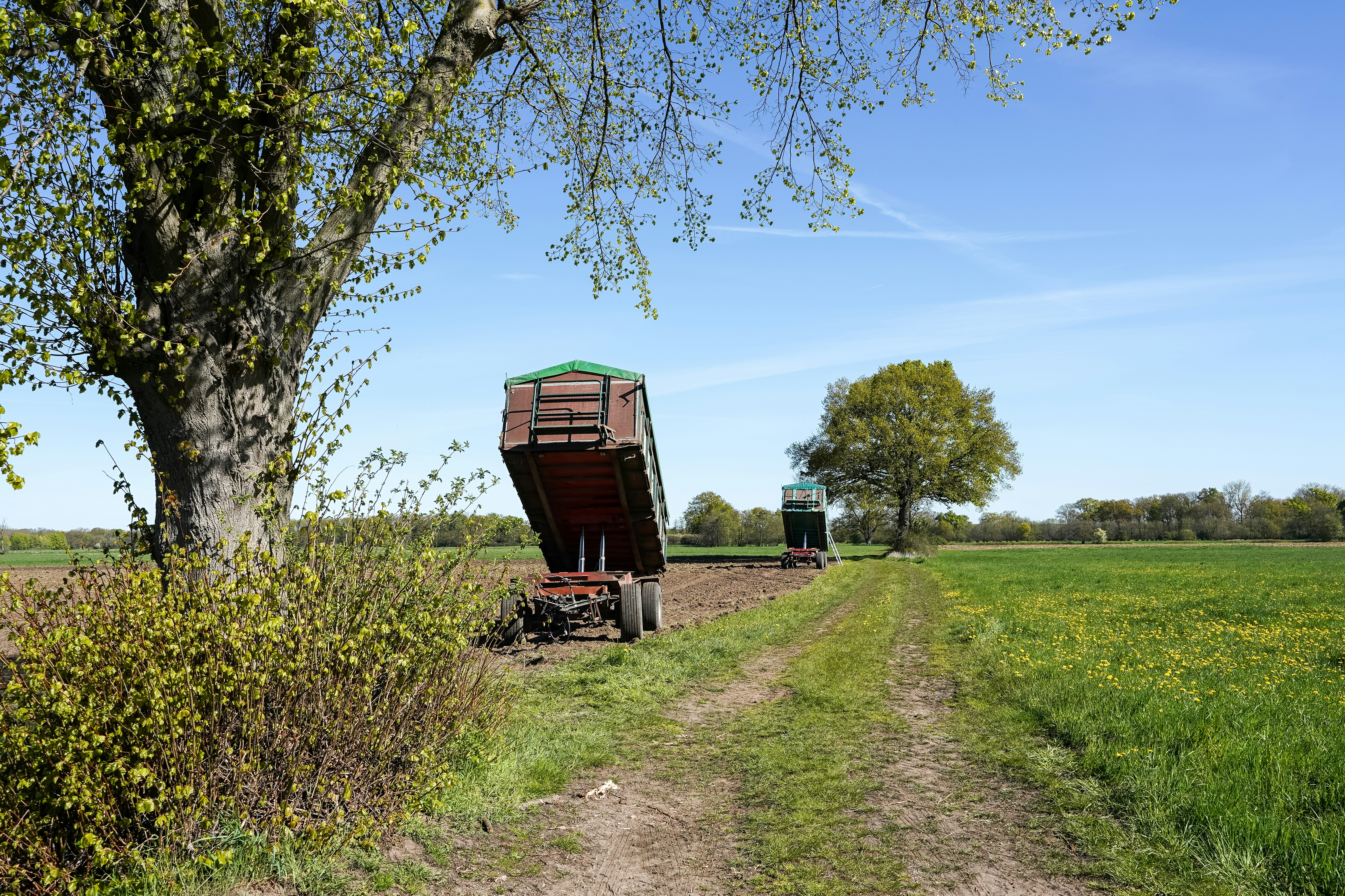 Toward the Field: a Tractor-lined Path under a Blue Spring Sky
