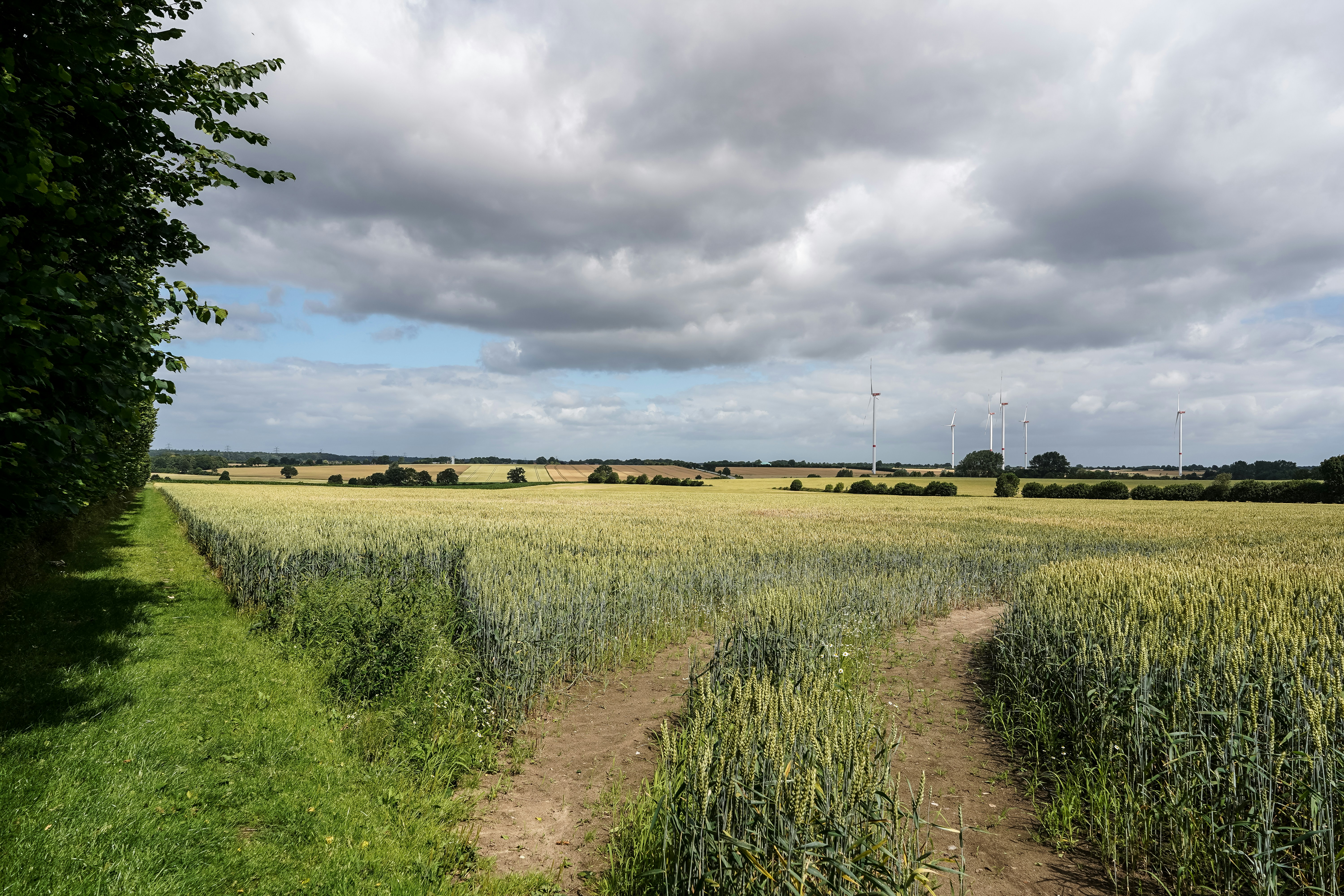 Crossroads of Wheat and Sky