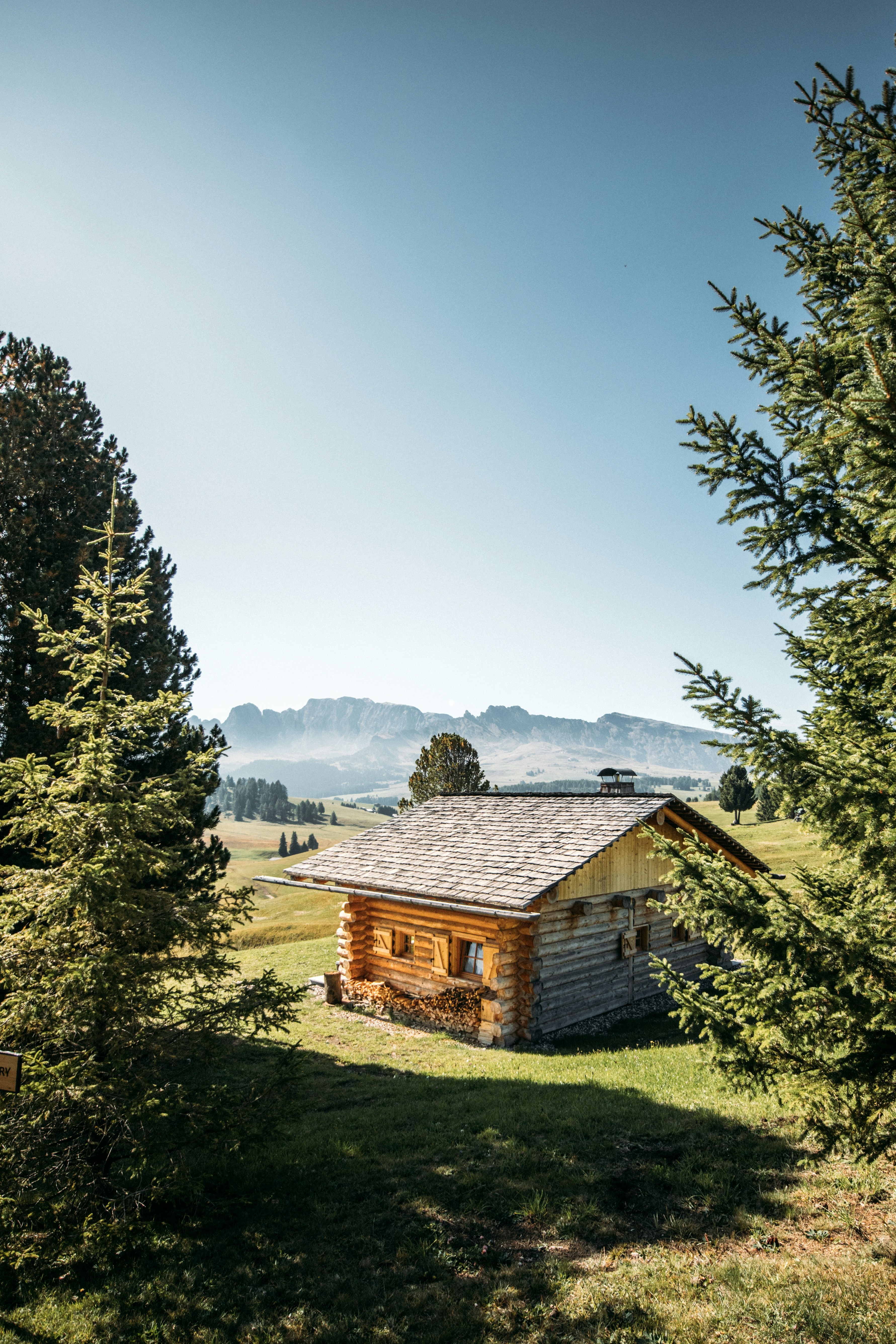 Log Cabin Sanctuary Framed by Pines Under Open Sky
